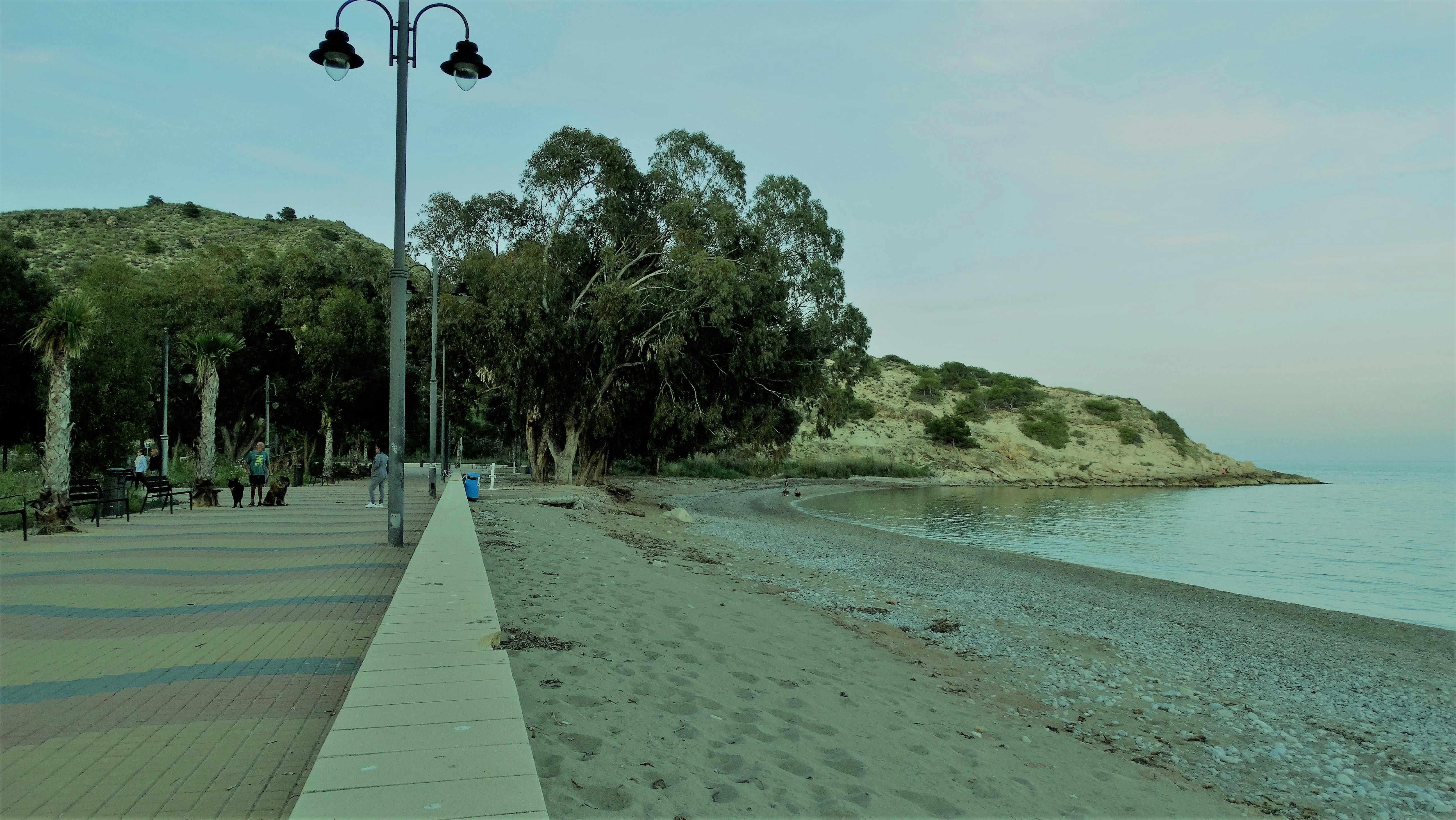 David Escribano - Fotografía