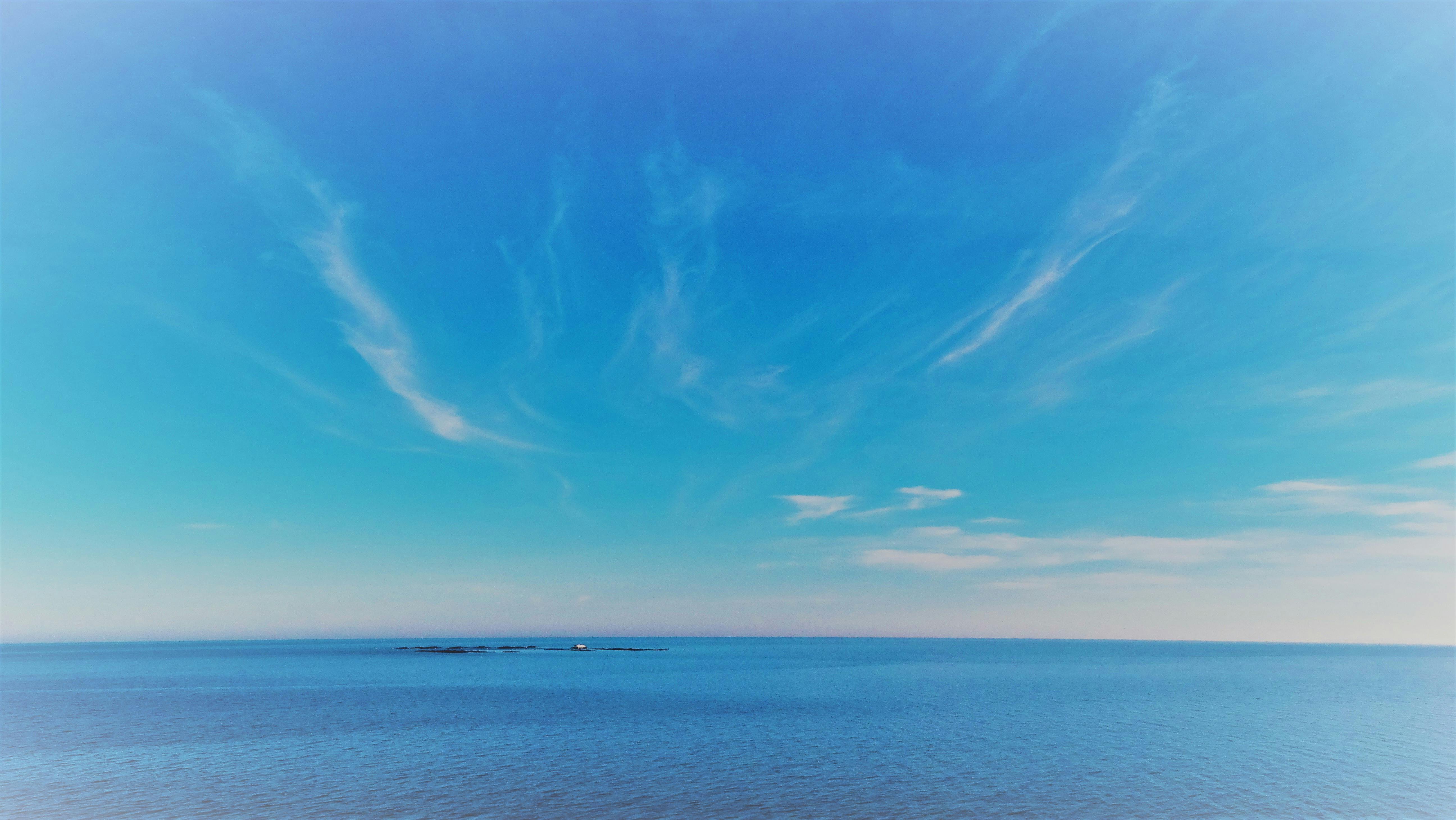 David Escribano - 写真