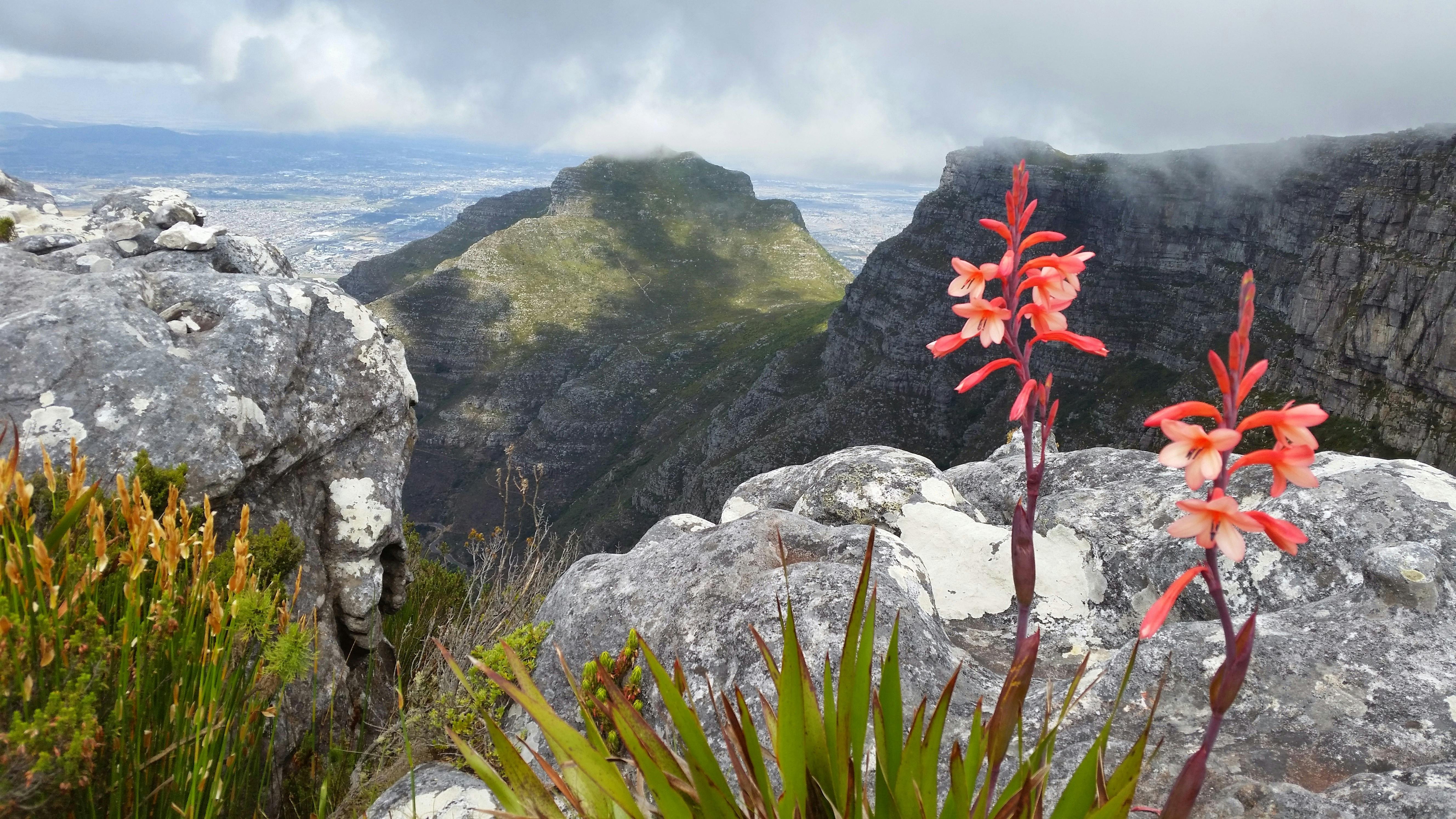 Lorna Watson - 写真