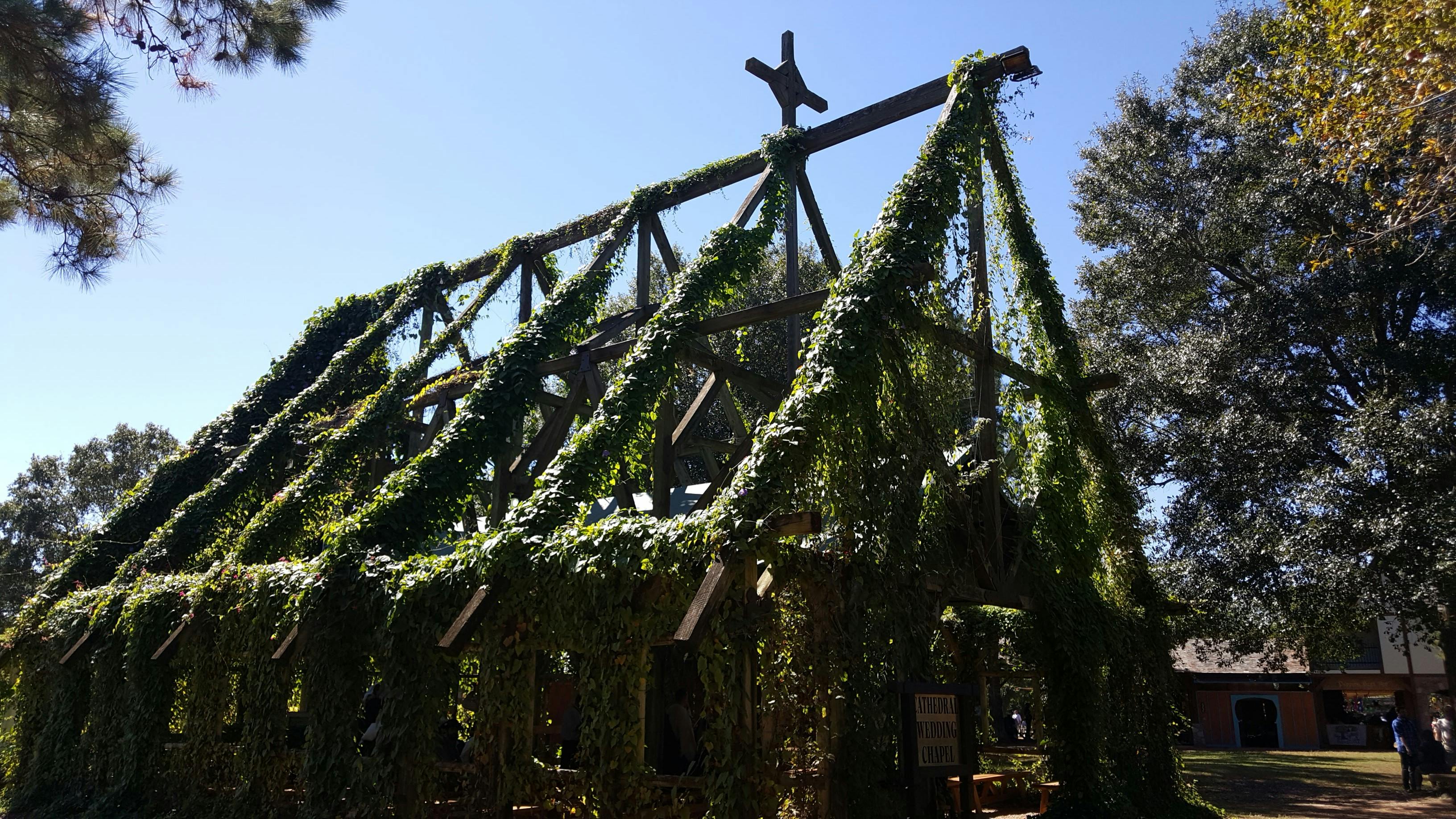 Free stock photo of church, ruins, vines