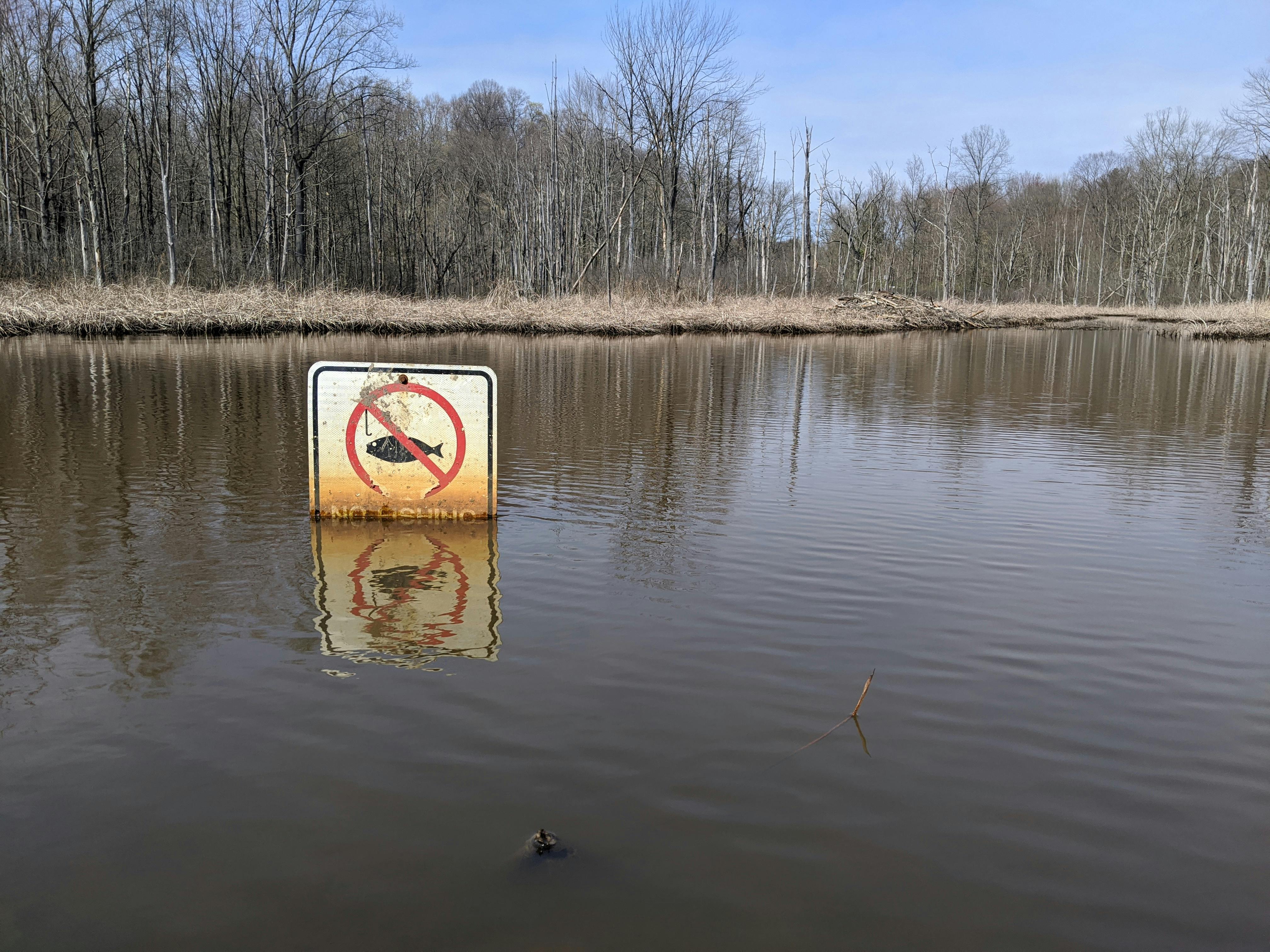 Joe Lattanzio - Photography