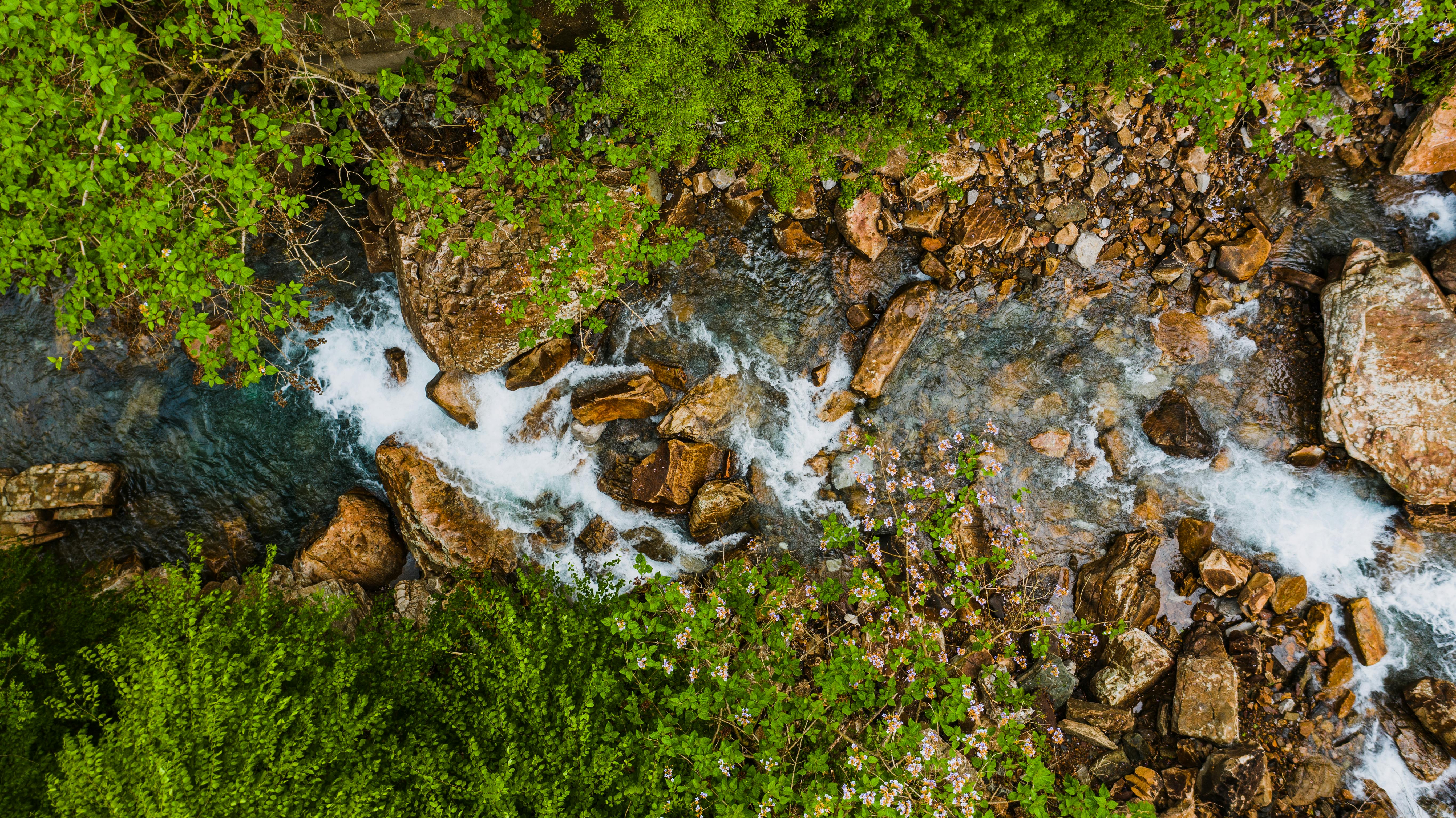 Foto de stock gratuita sobre agua, al aire libre, árbol