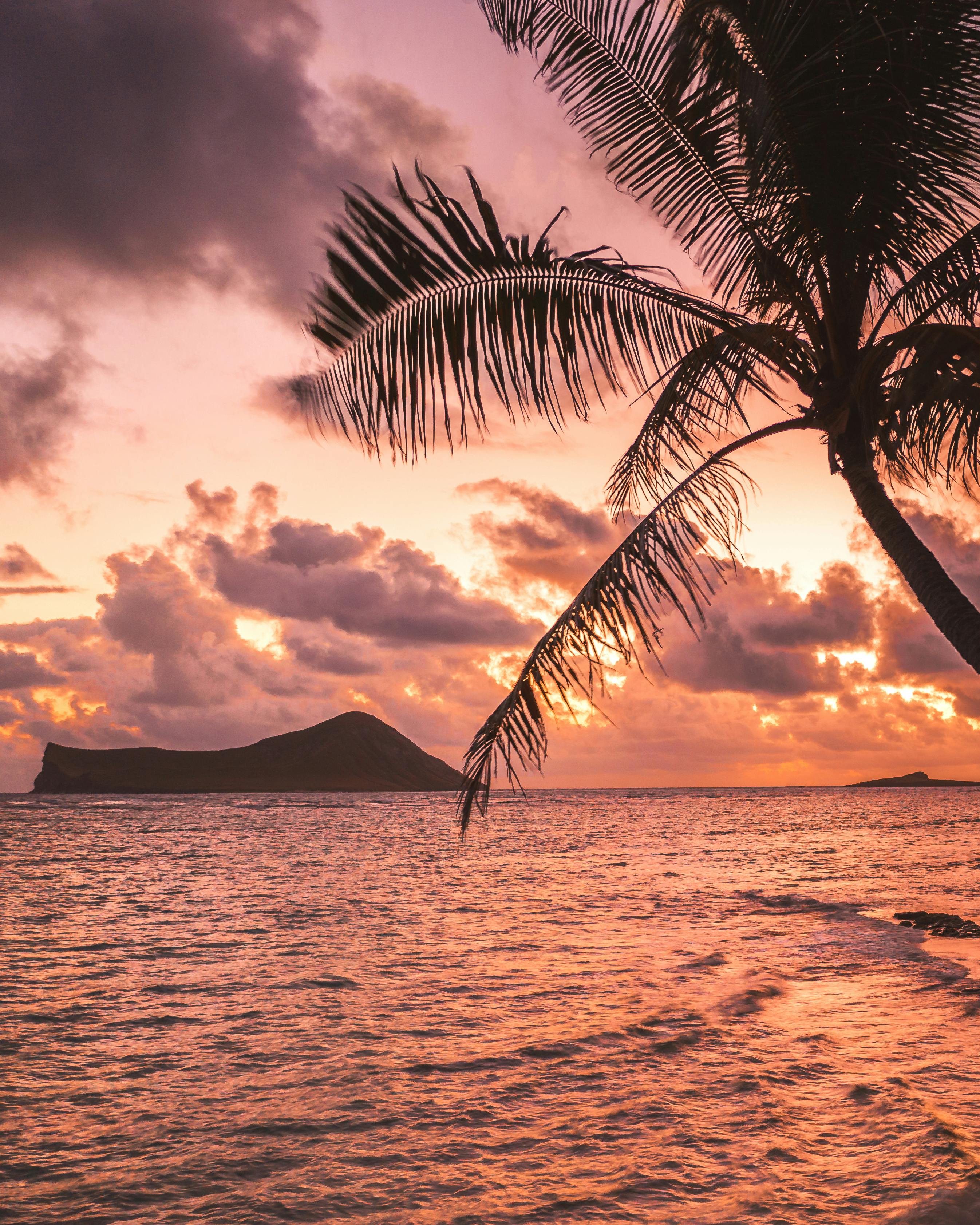 Beautiful Beach Sunset With Palm Trees