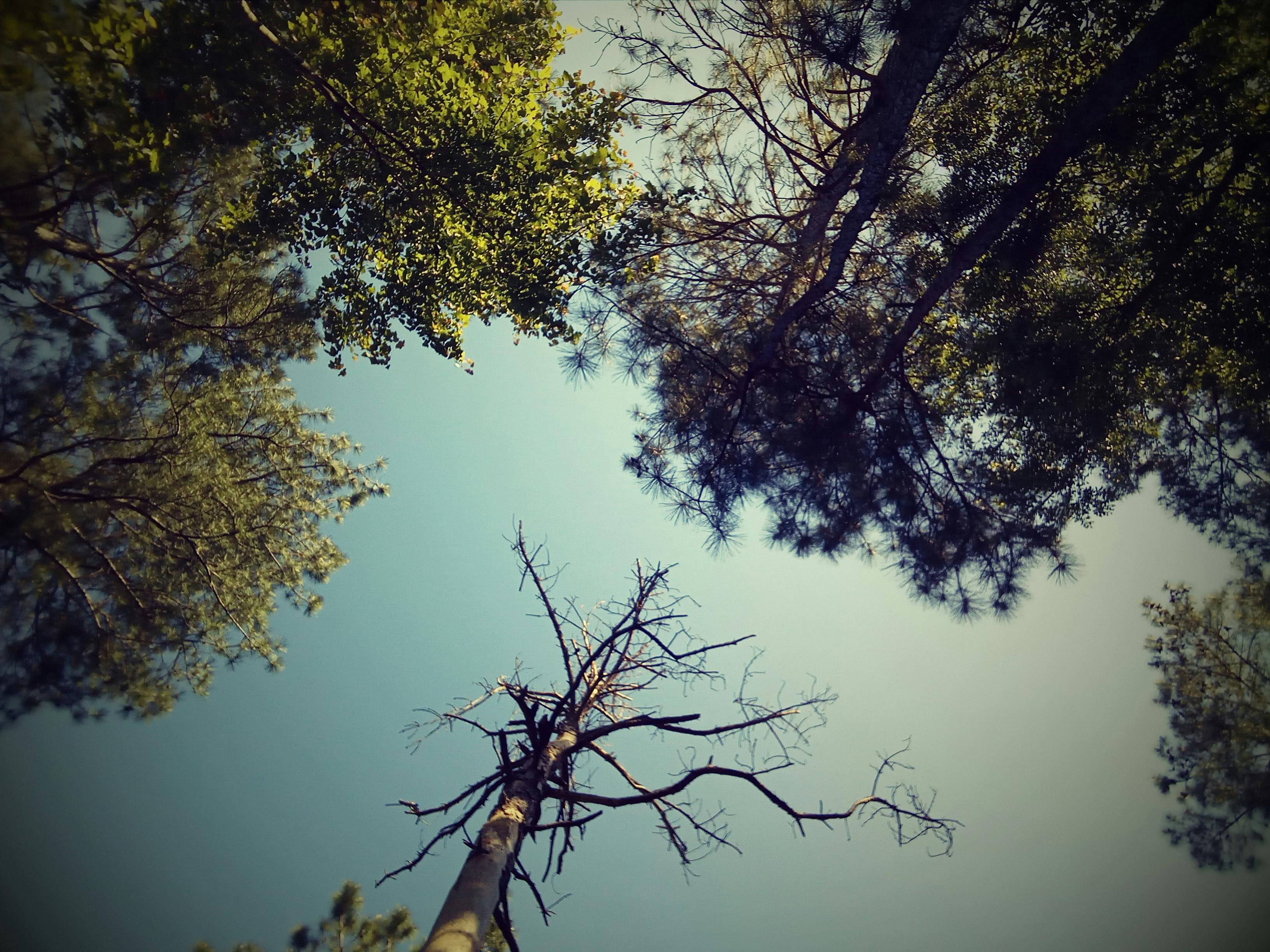 The Rarest Cancer in the World: A Silent Battle | PRIDE | National ...