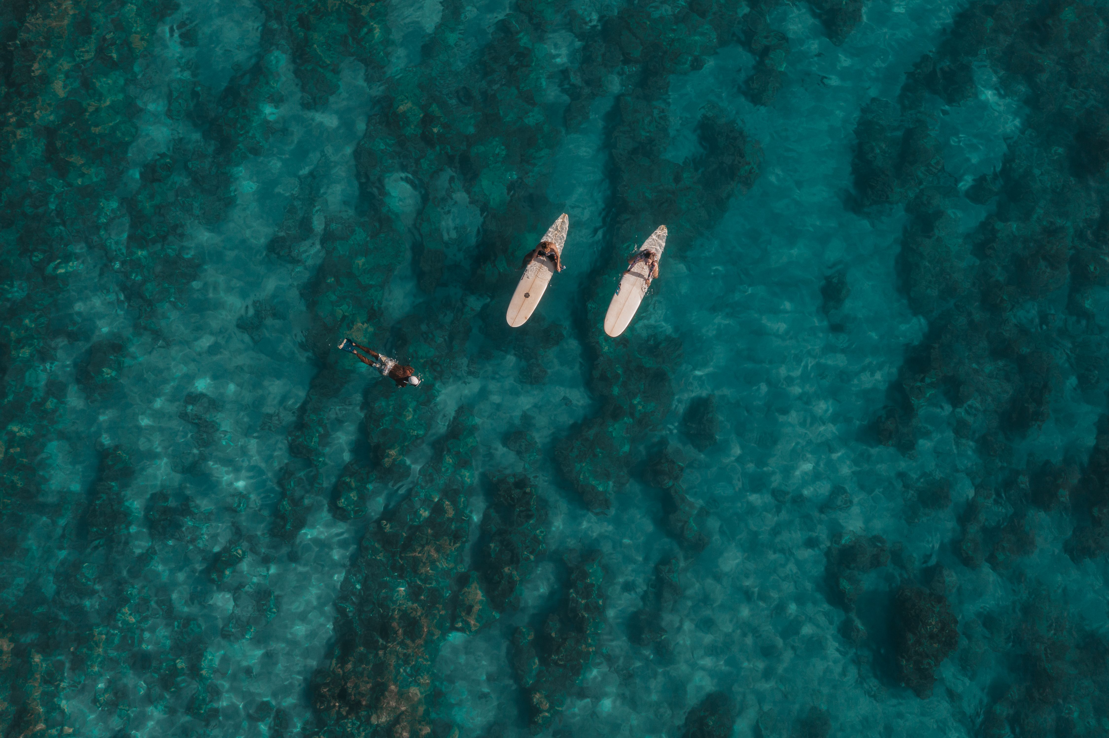 Aerial View of Surfers on the Ocean · Free Stock Photo