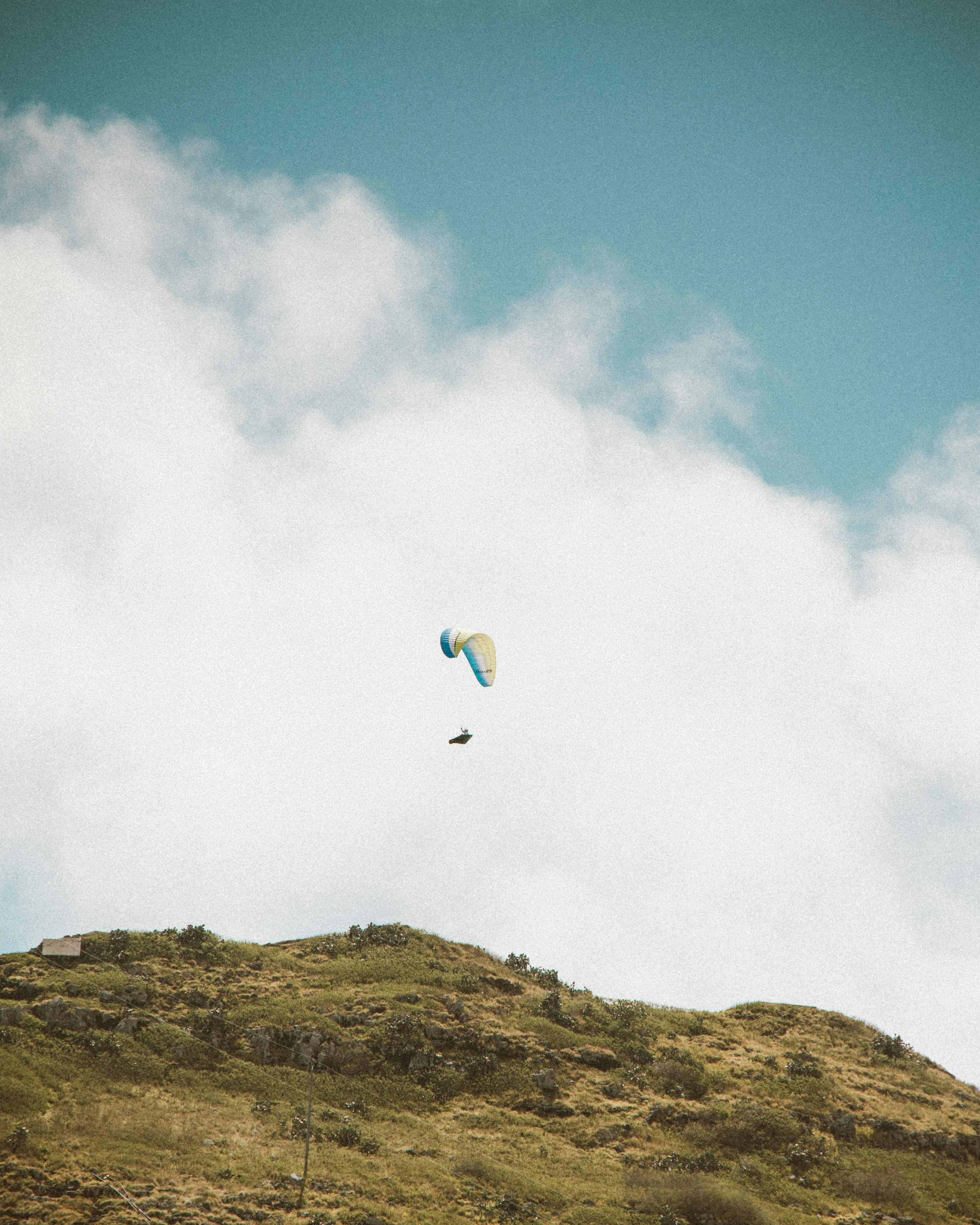 A Bird Flying Over a Person Paragliding · Free Stock Photo