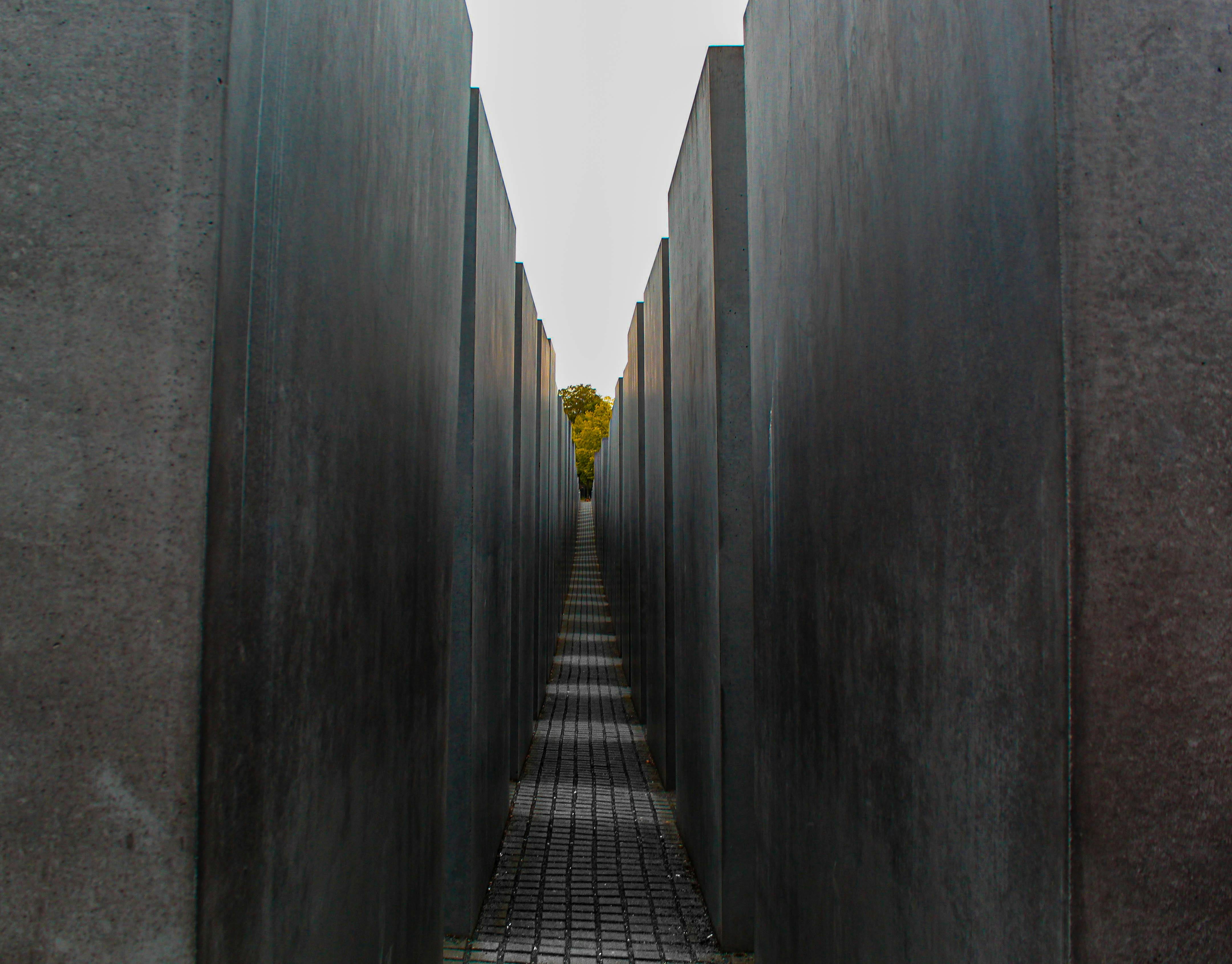 Labyrinth Photos, Download The BEST Free Labyrinth Stock Photos & HD Images