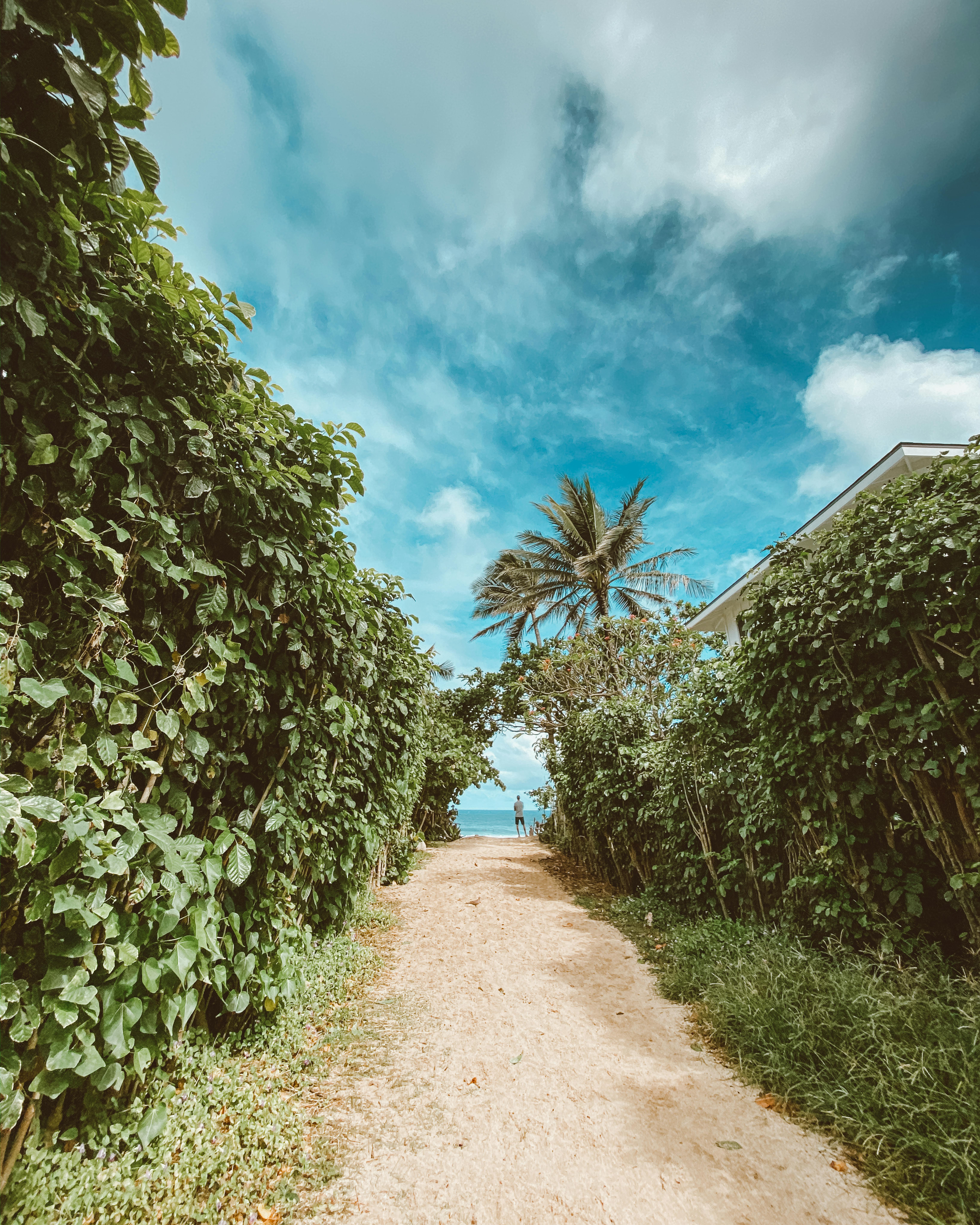 Sand Covered Pathway Leading to a Beach · Free Stock Photo