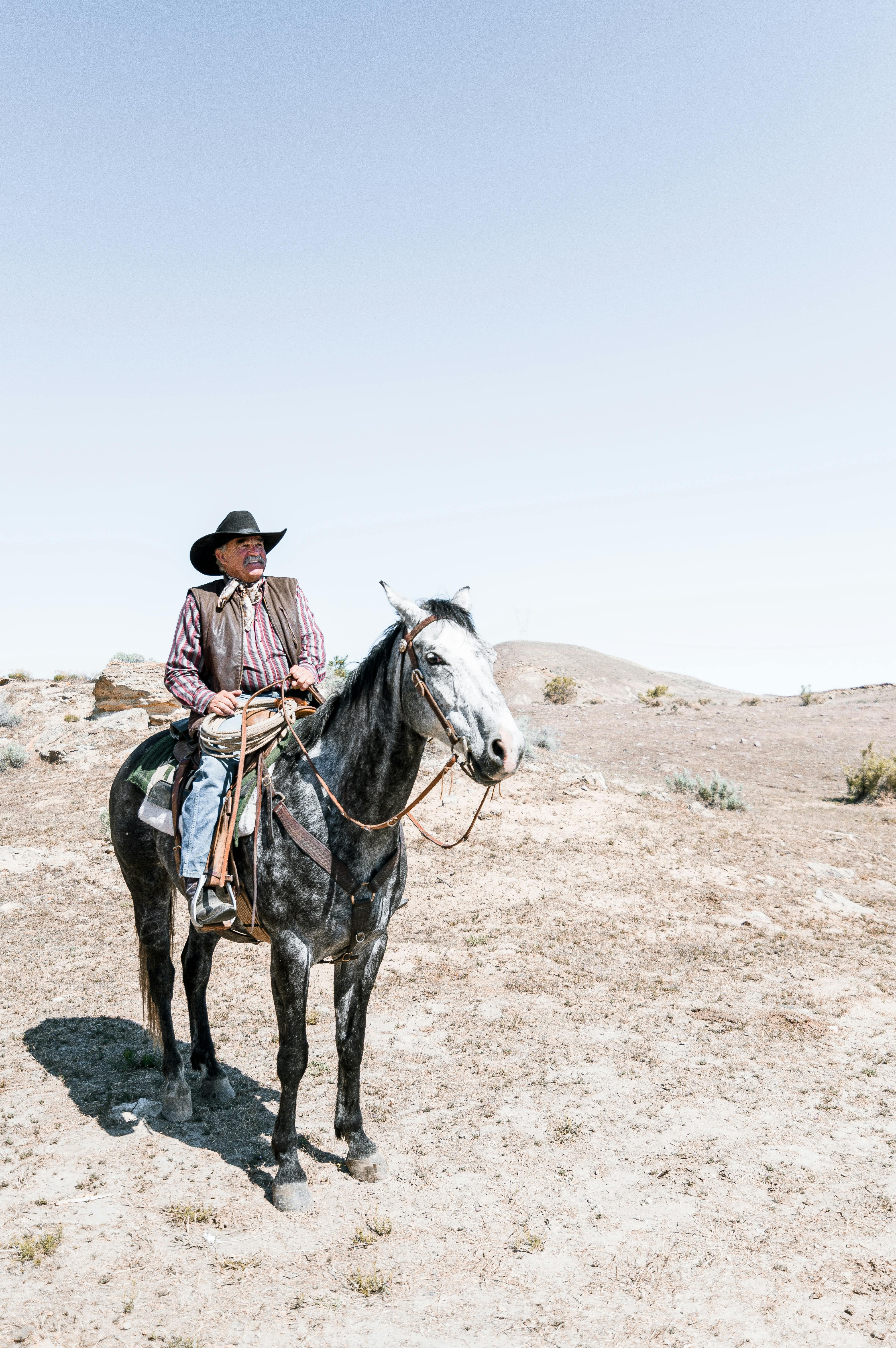 Heat Western Photos, Download The BEST Free Heat Western Stock Photos ...