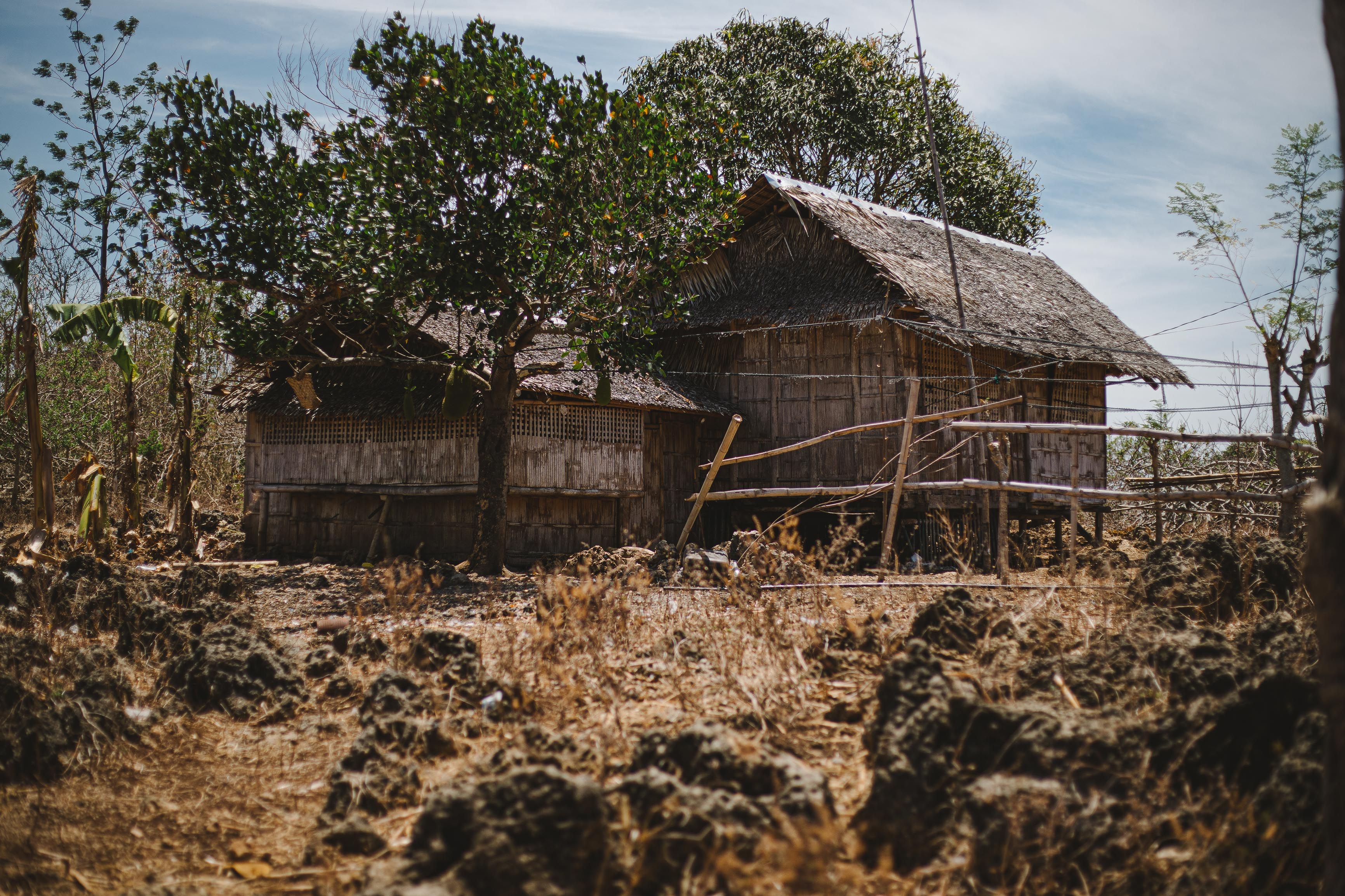 Hut in Forest by Lake · Free Stock Photo
