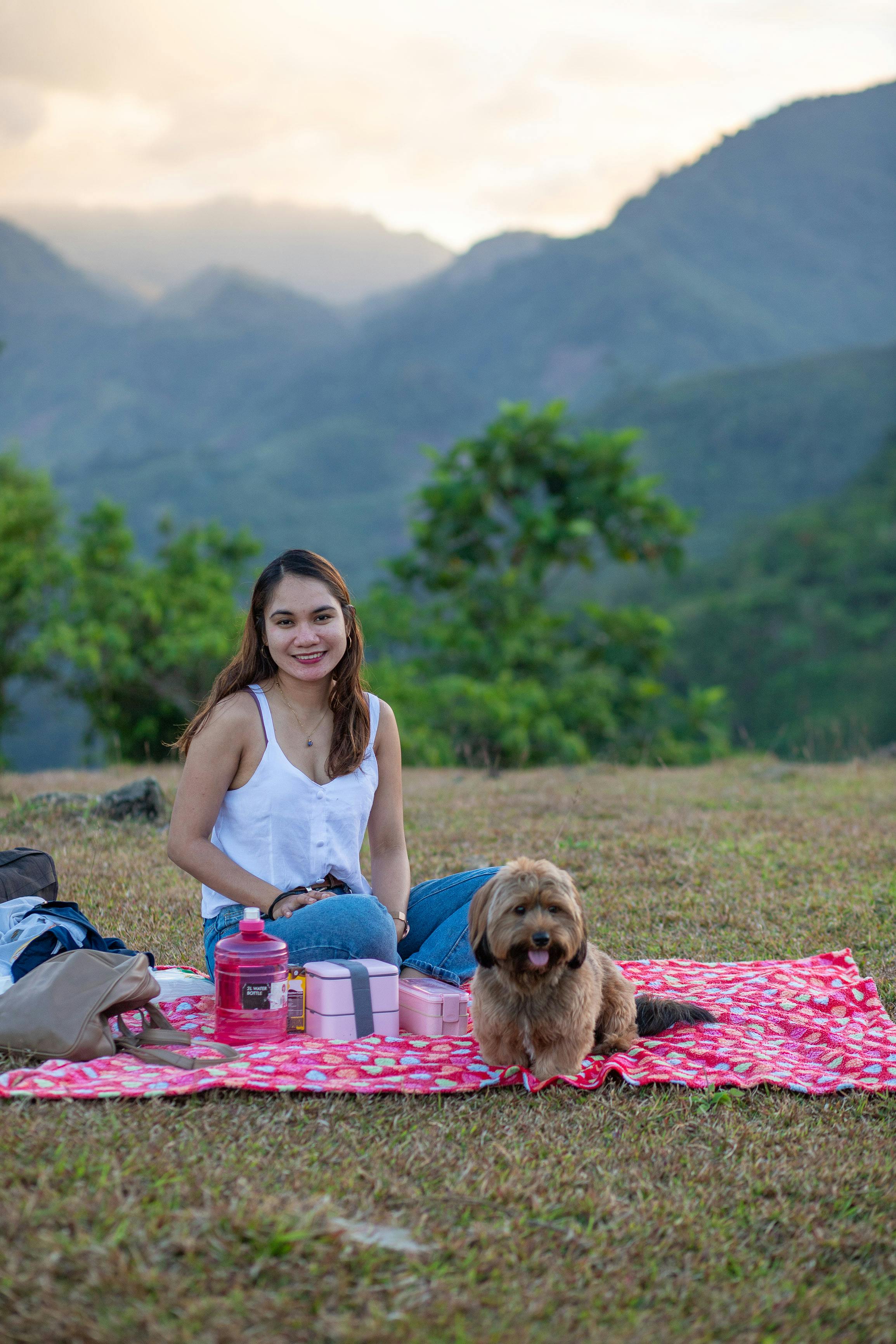 Dog Picnic Photos, Download The BEST Free Dog Picnic Stock Photos & HD ...