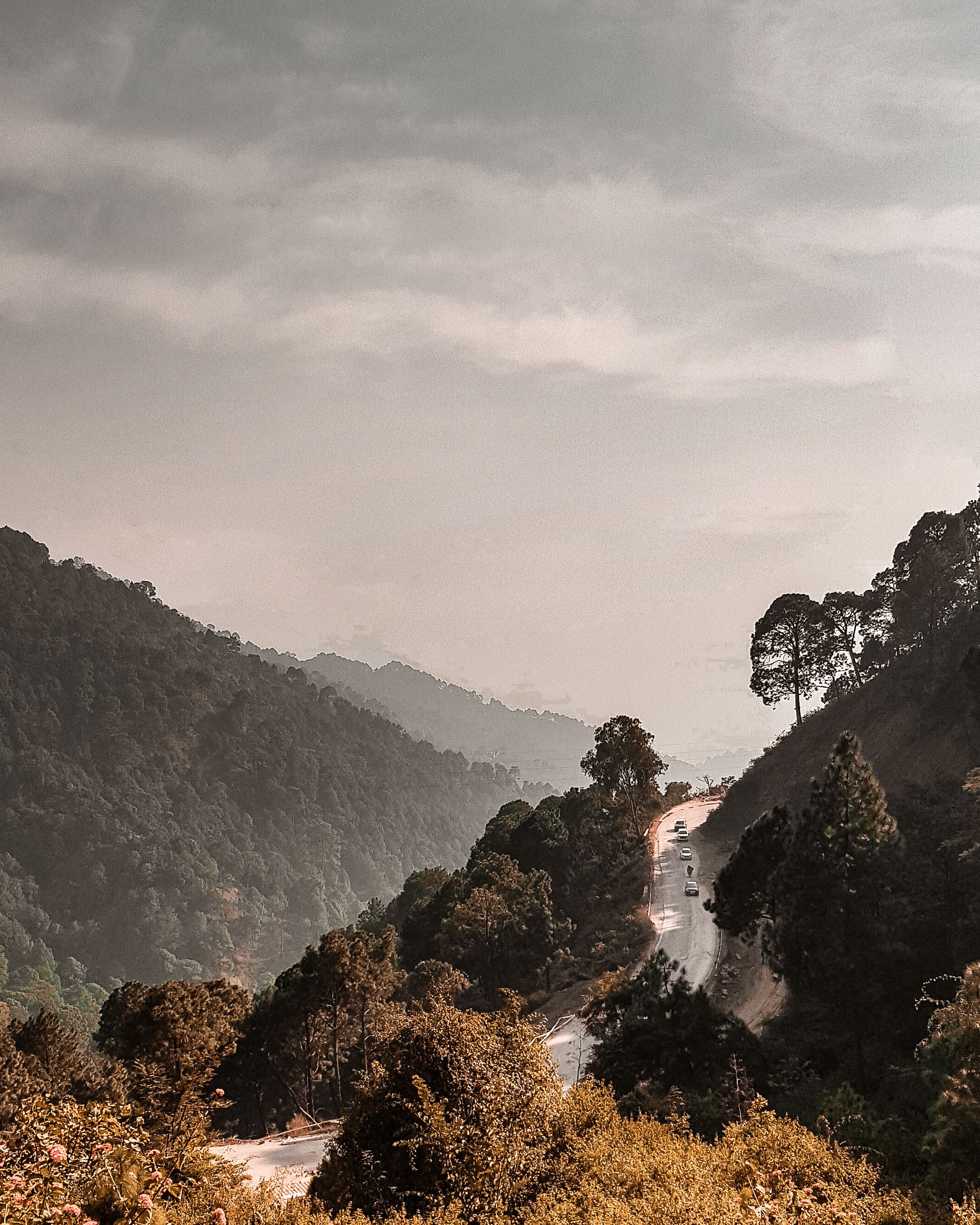 Road Going to a Mountain · Free Stock Photo