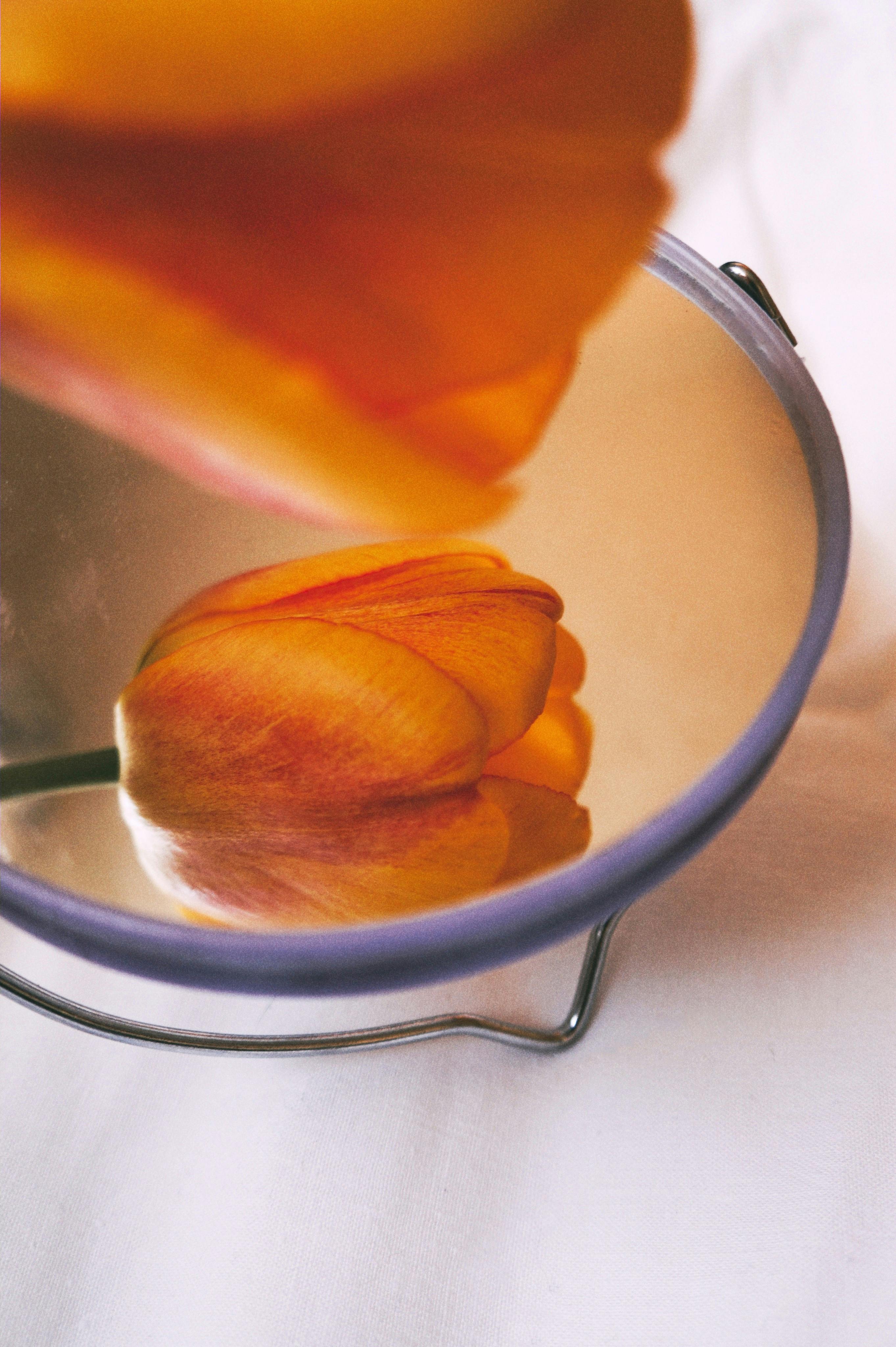 Mirror Reflection of a Tulip Flower · Free Stock Photo