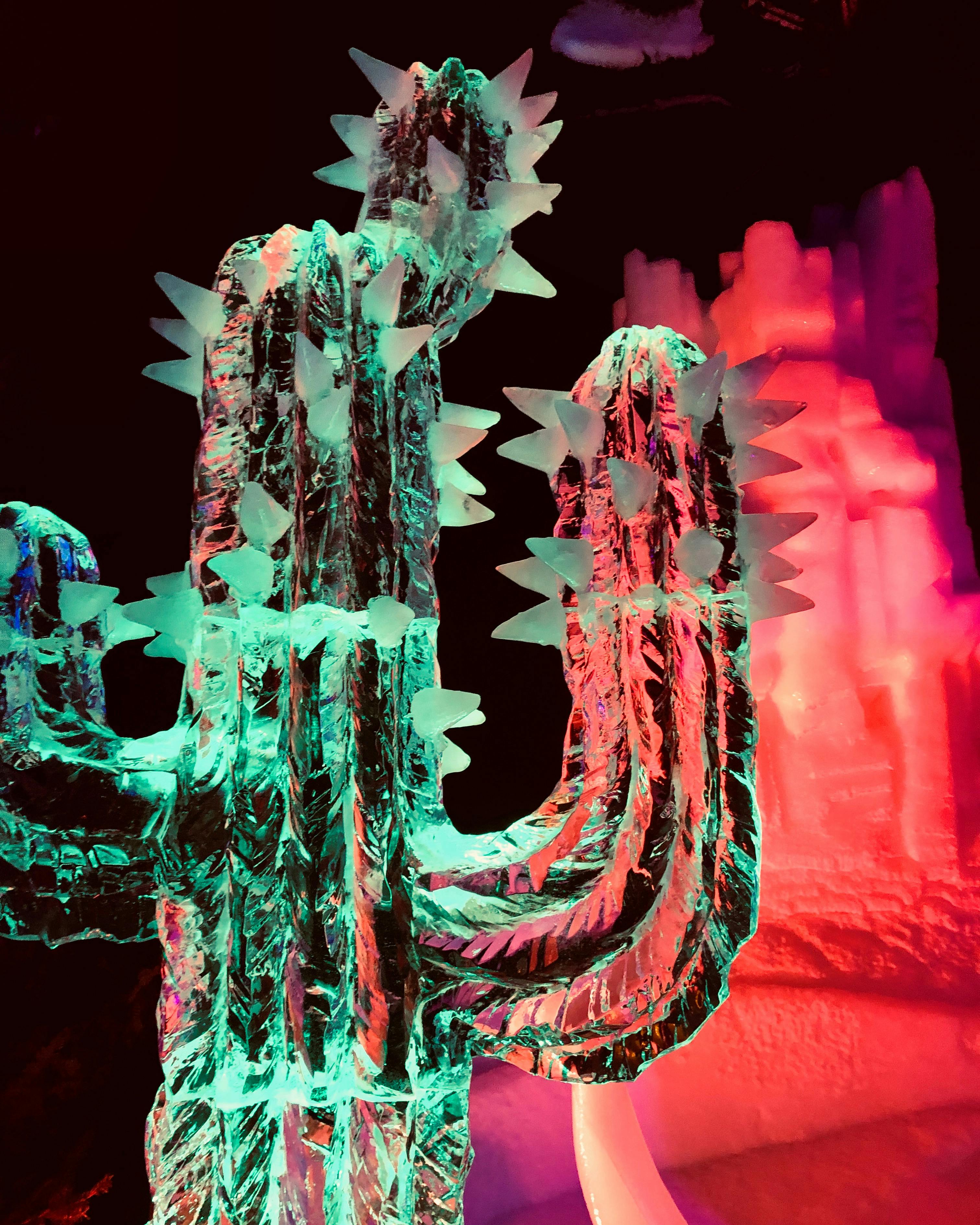 Cactus Ice Sculpture · Free Stock Photo