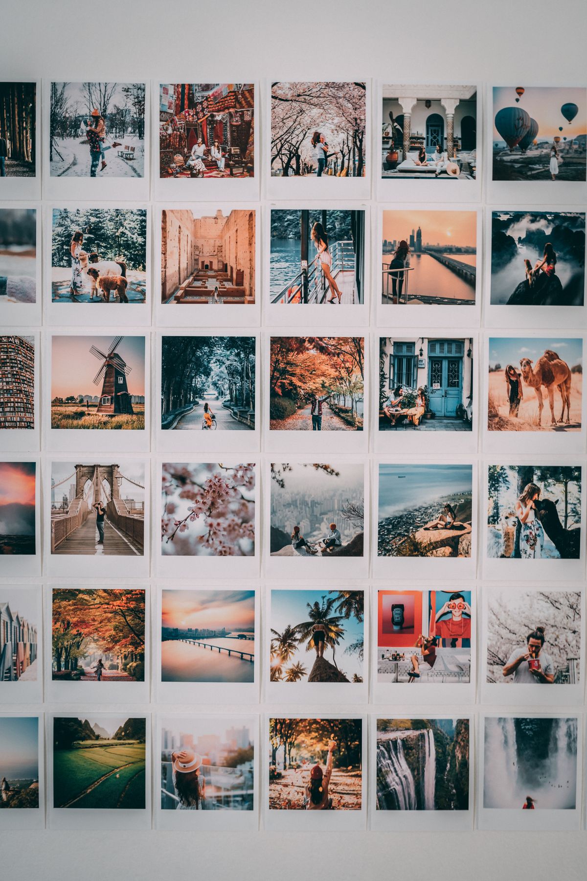 Collage Photos, Download The BEST Free Collage Stock Photos & HD Images