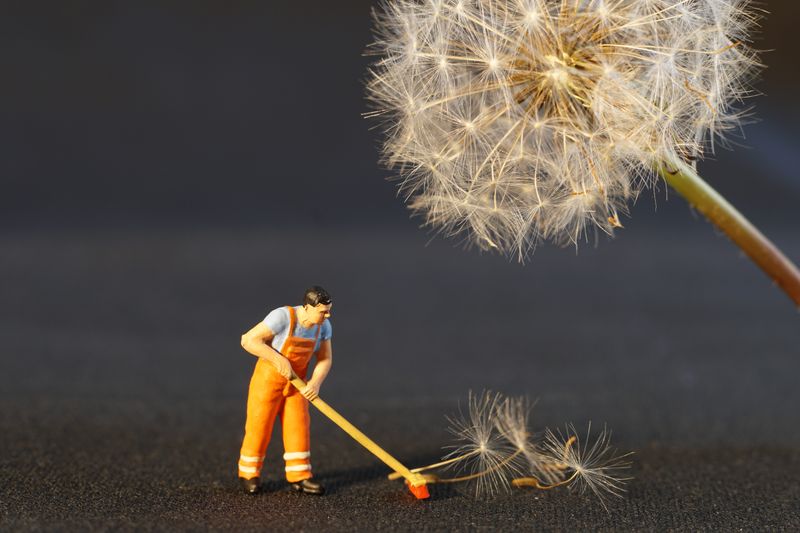 Cleaning Photos, Download The BEST Free Cleaning Stock Photos & HD Images