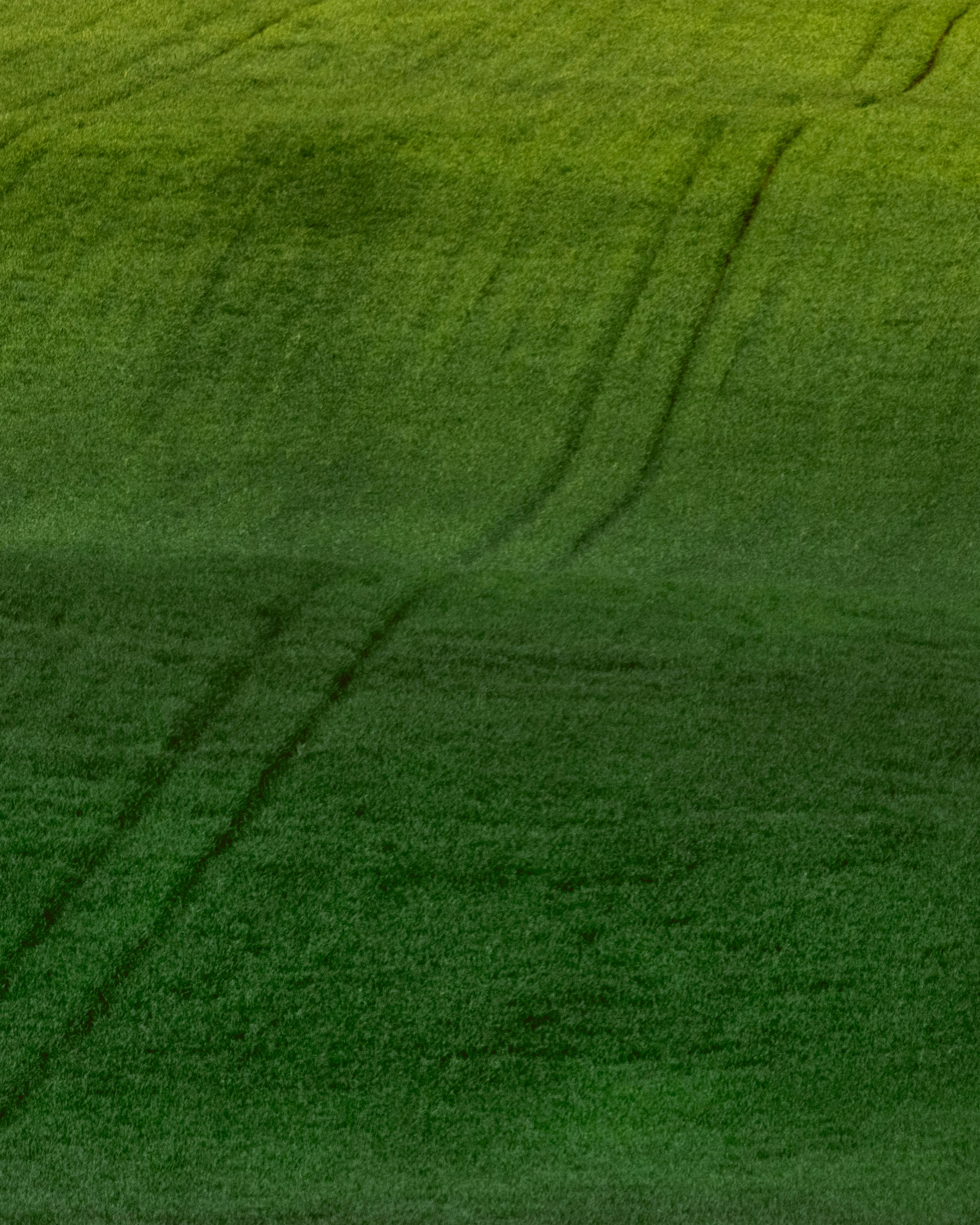 Beautiful Green Grass Field · Free Stock Photo