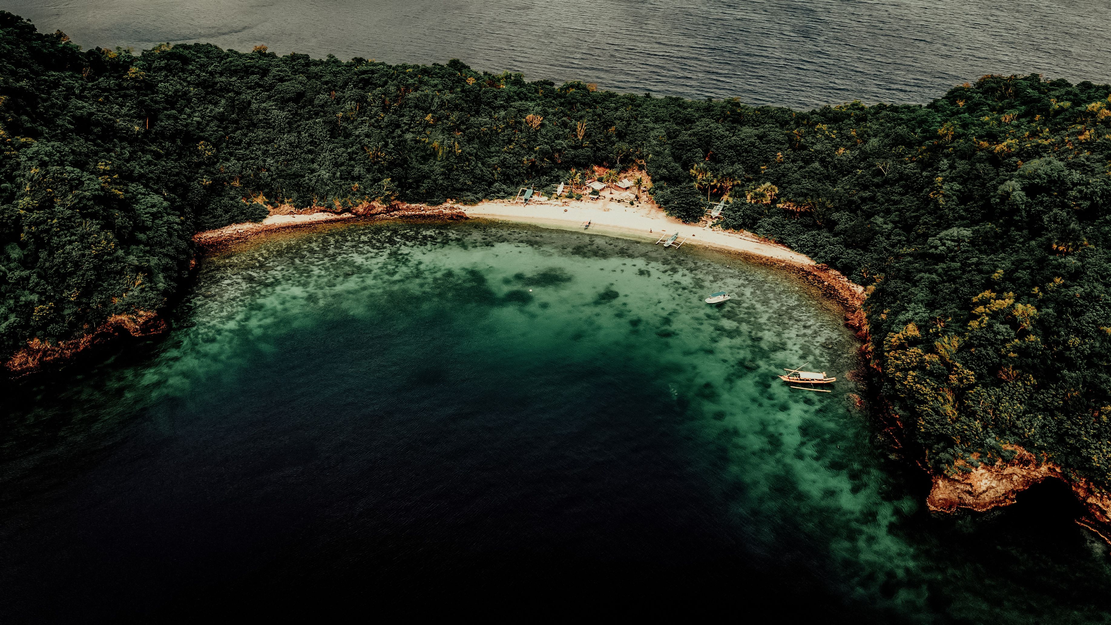 Hd Wallpaper Beach Forest Photos, Download The BEST Free Hd Wallpaper ...