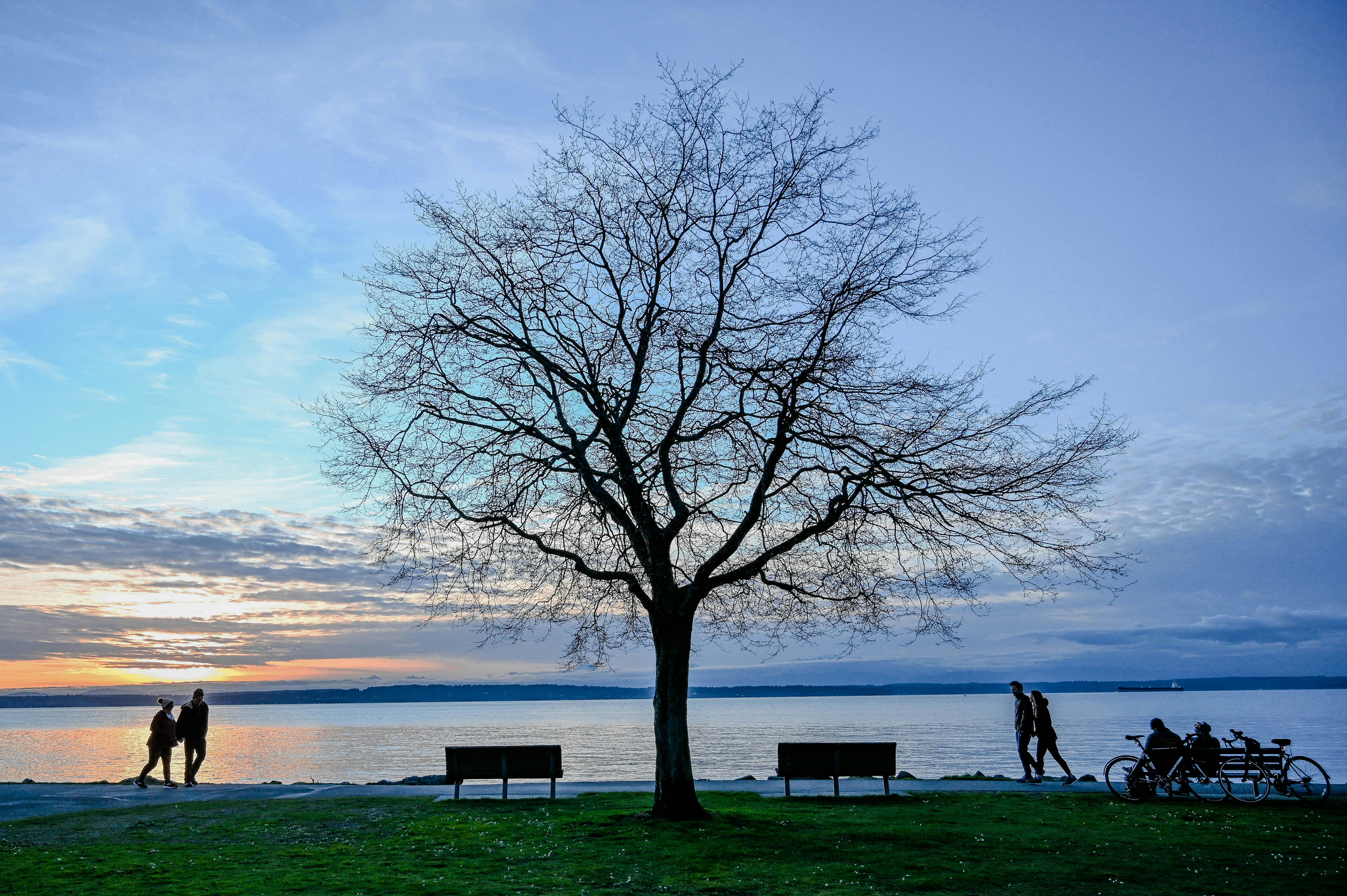 Promenade by Lake · Free Stock Photo