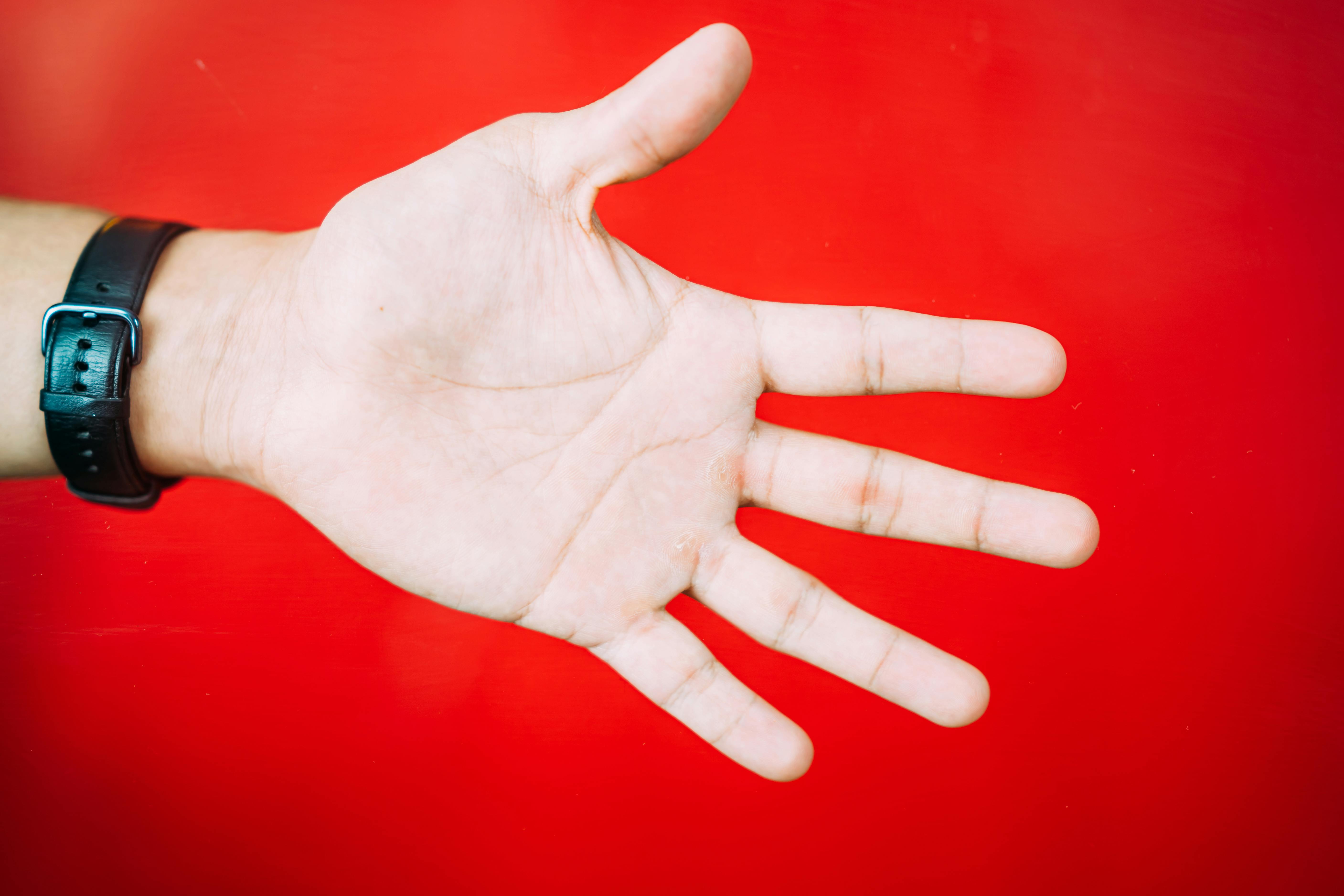 Photo Of Person's Open Hands · Free Stock Photo