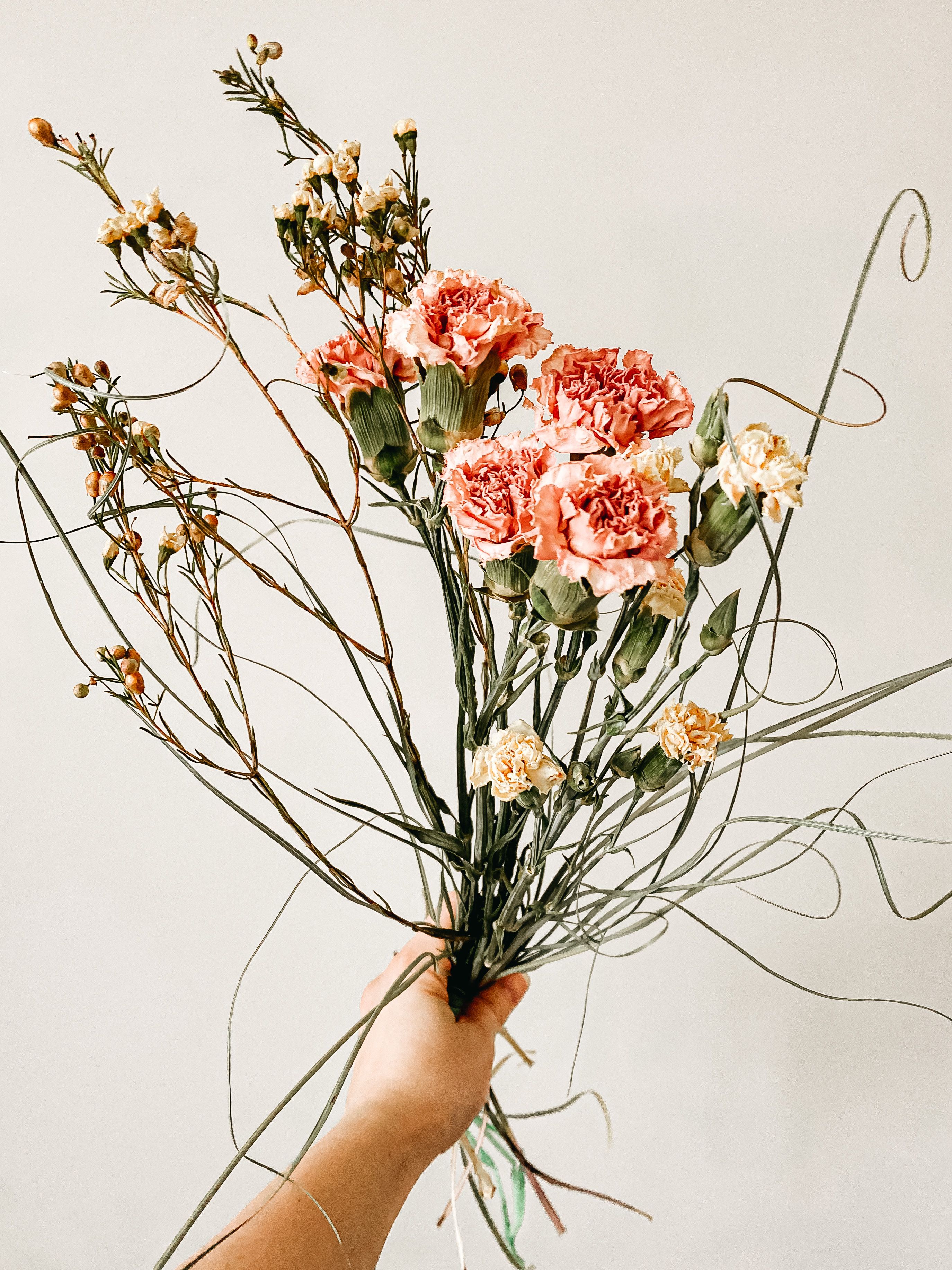 Popular Photos, Download Free Popular Stock Photos & HD Images