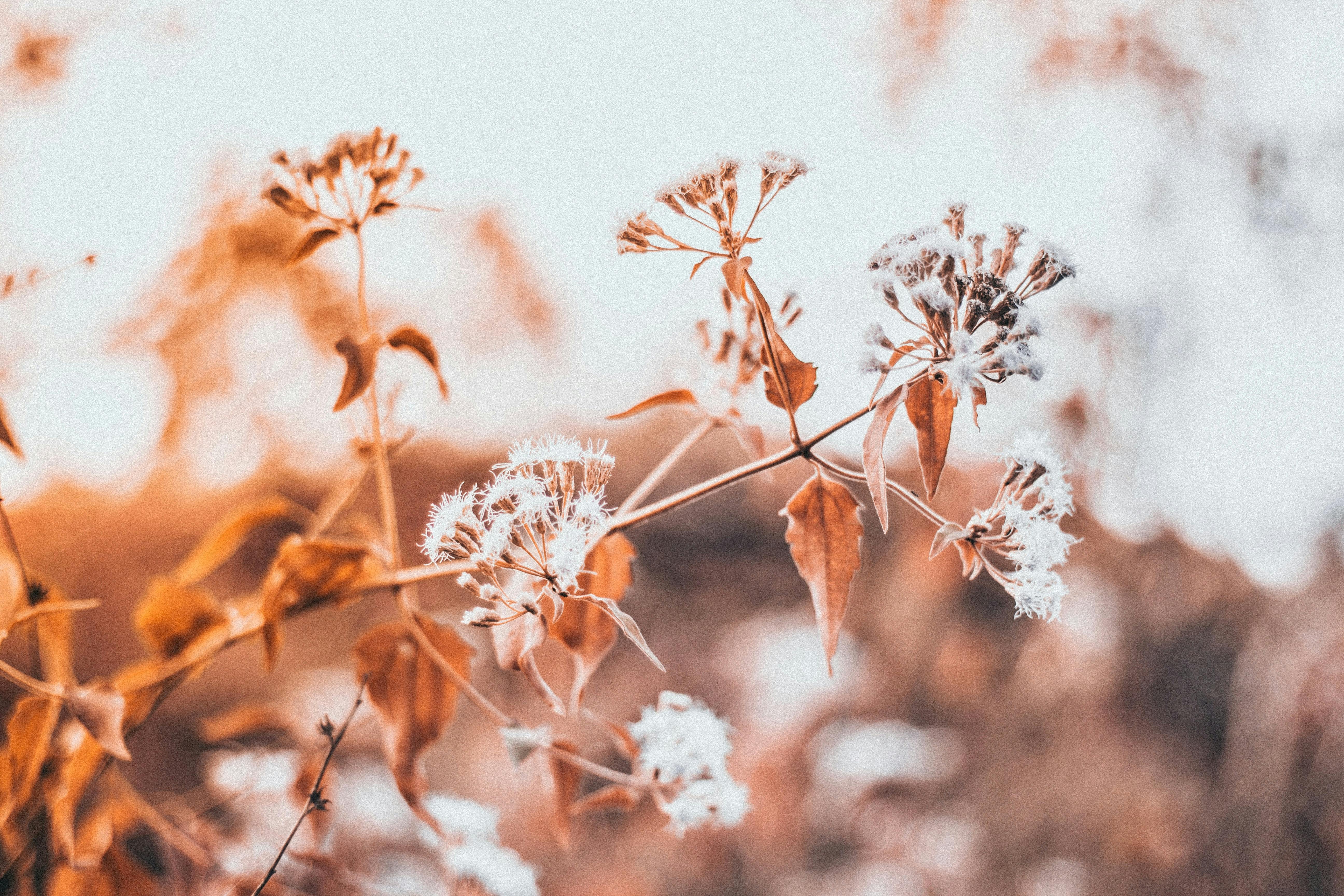 Jerry Mathew - 写真