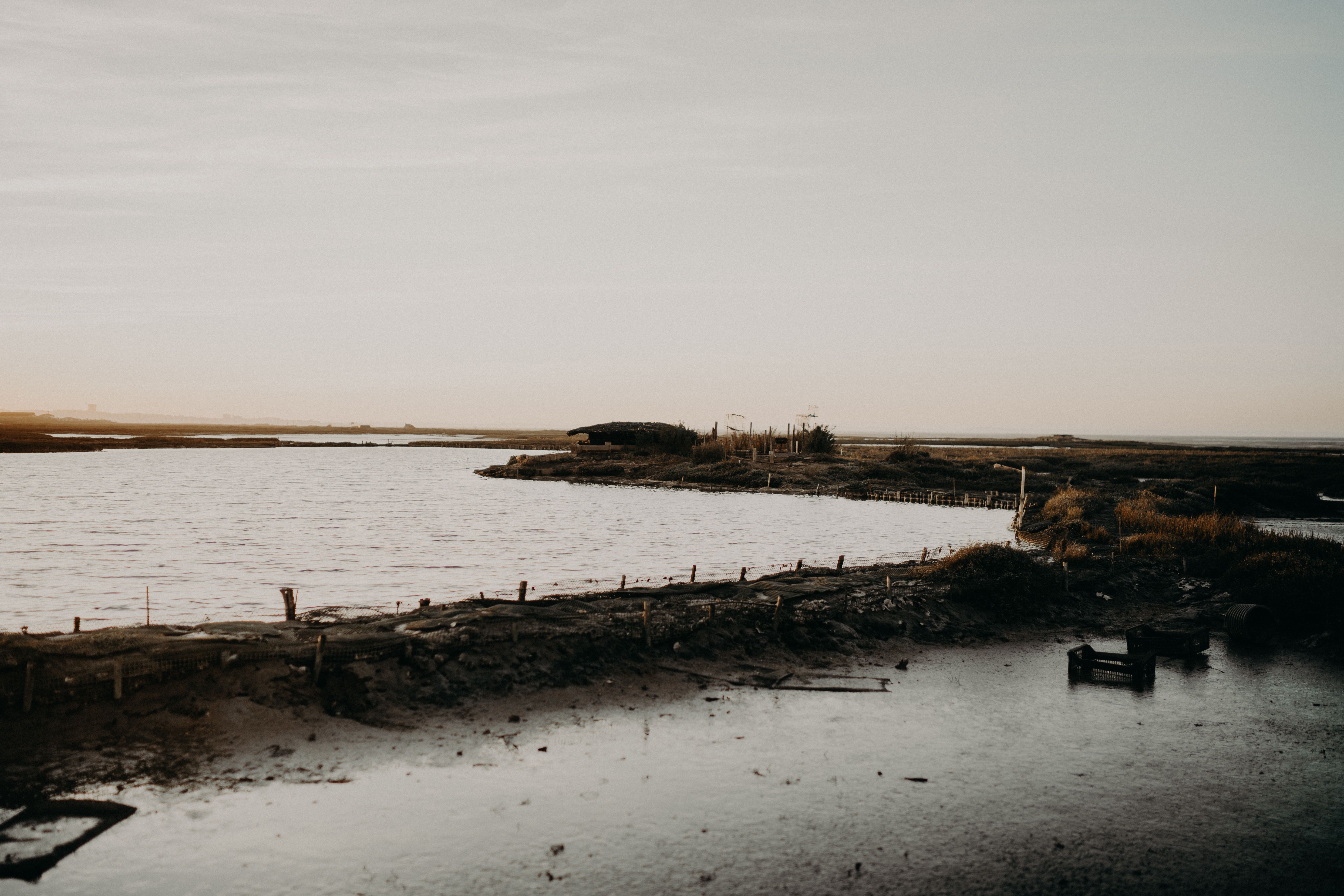 River in Plain · Free Stock Photo
