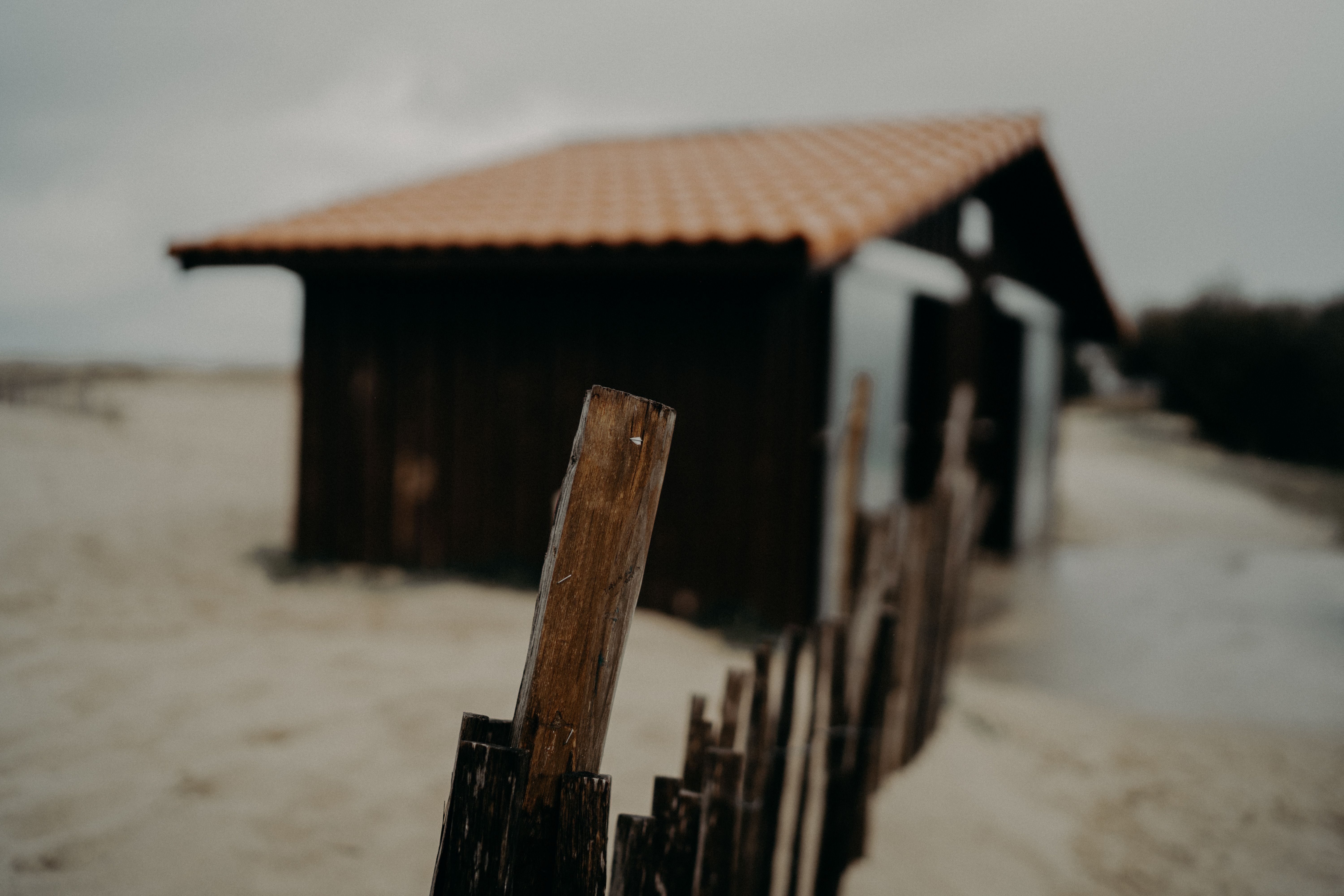 Brown Wooden Fence on White Sand · Free Stock Photo