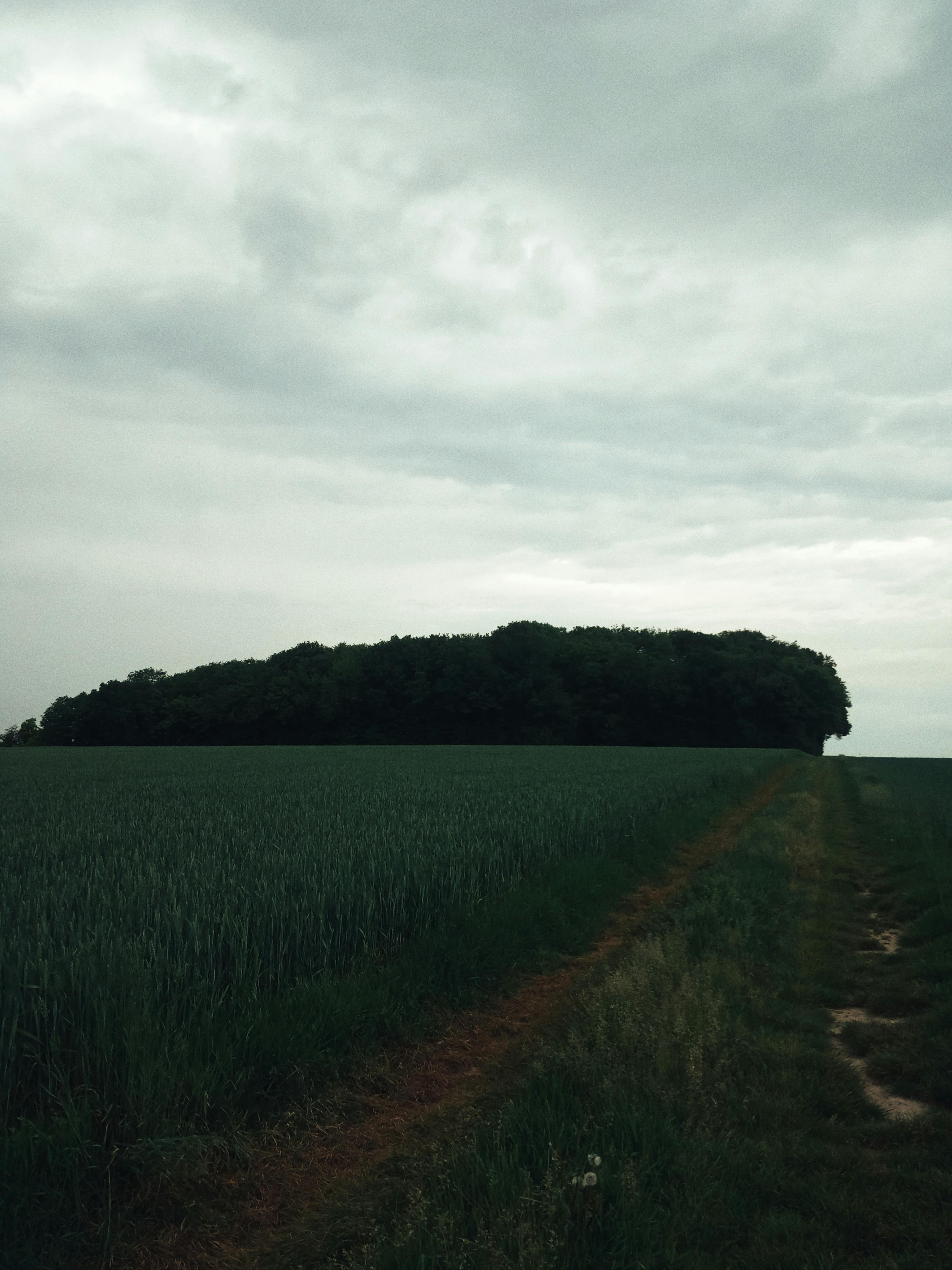 Peaceful green field against overcast sky in countryside · Free Stock Photo
