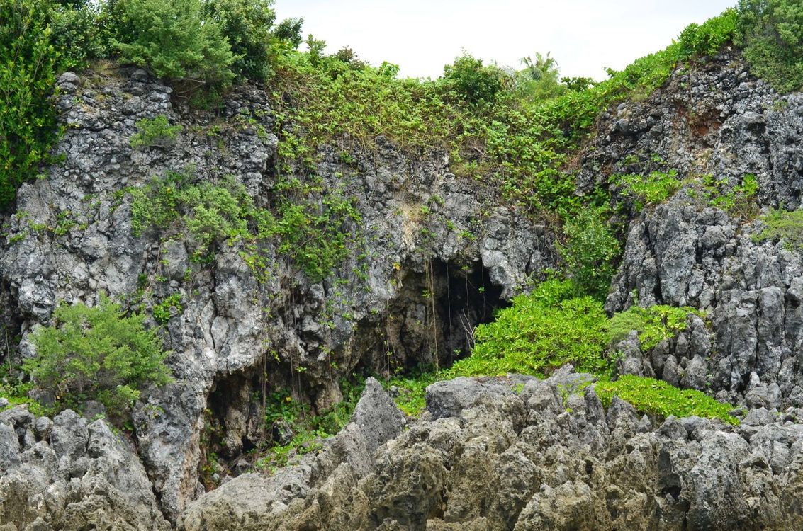 Free Stock Photo From Kay Pexels free-stock-photo-from-kay-pexels