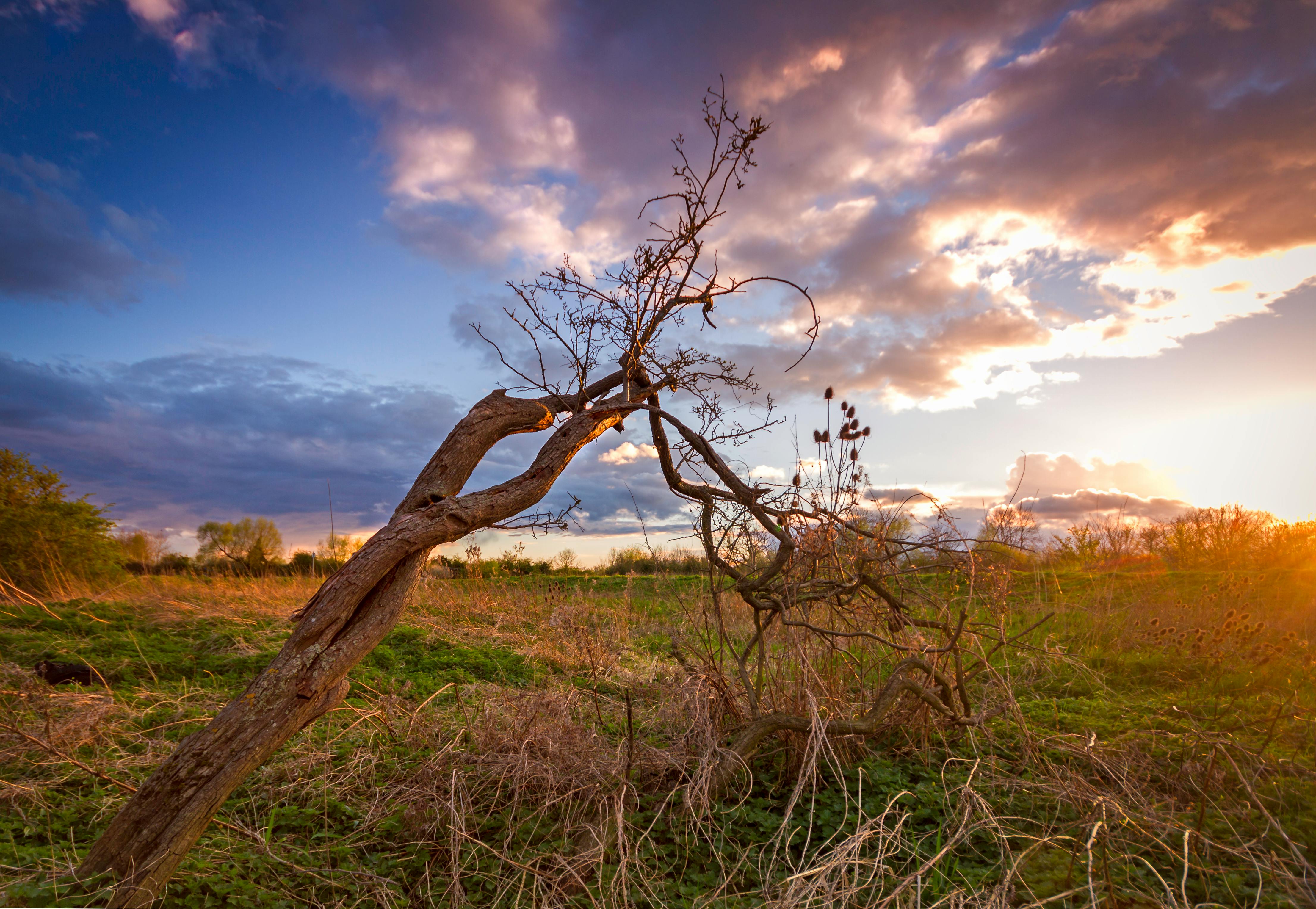 Kostenlose Bilder von Tadeusz · Pexels