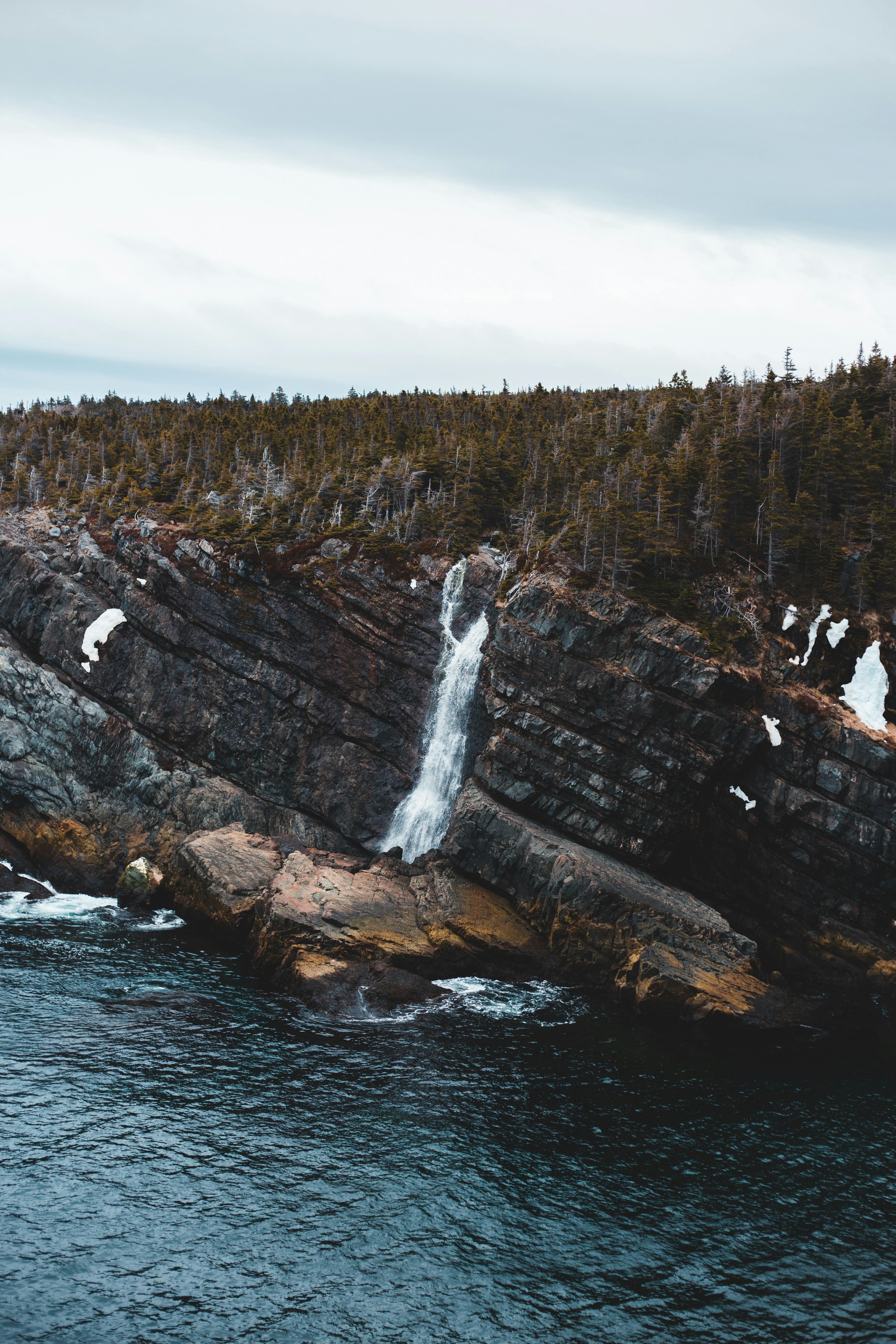 Rough fast waterfall in forest in summertime · Free Stock Photo