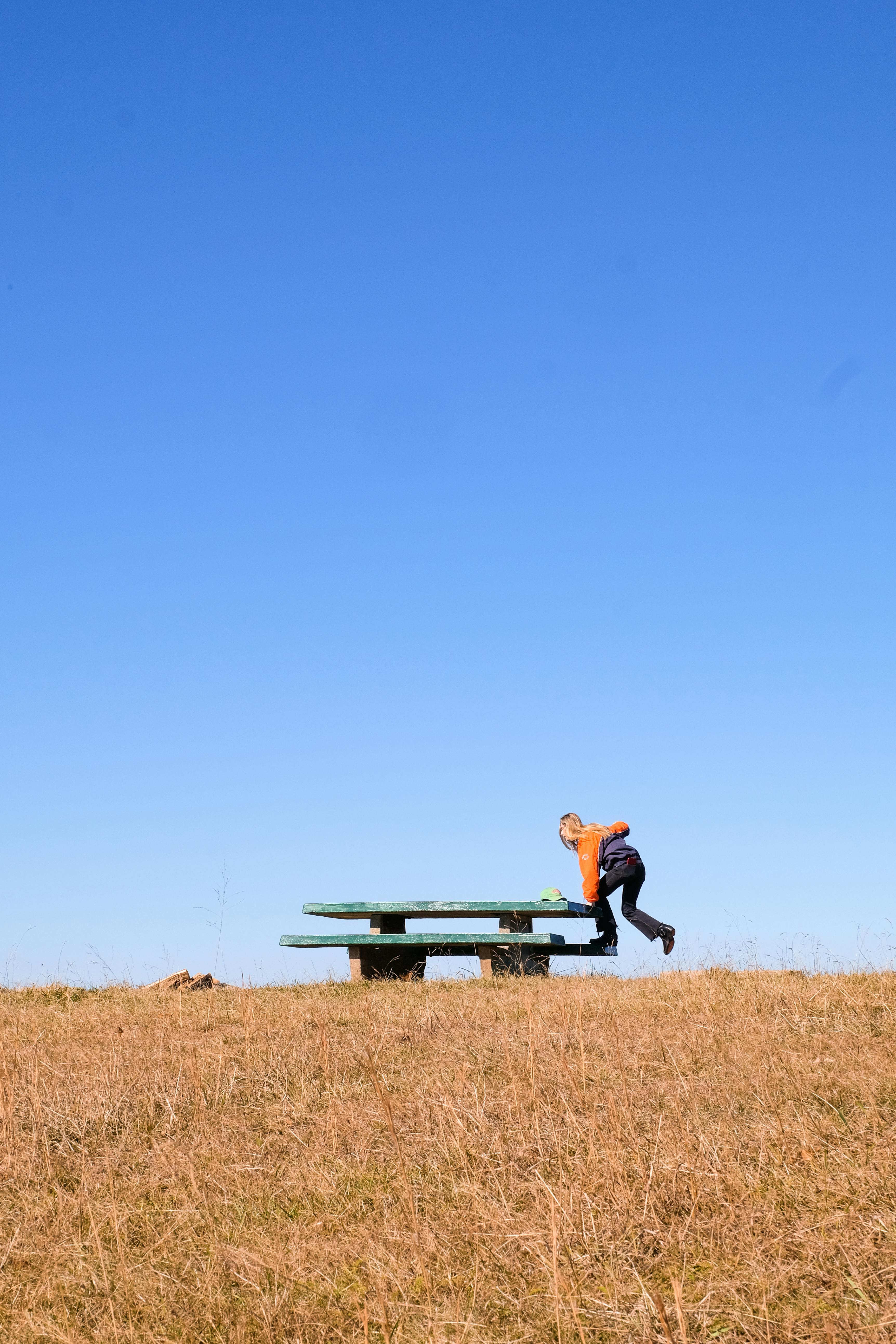 Person Standing on Top of the Bench · Free Stock Photo