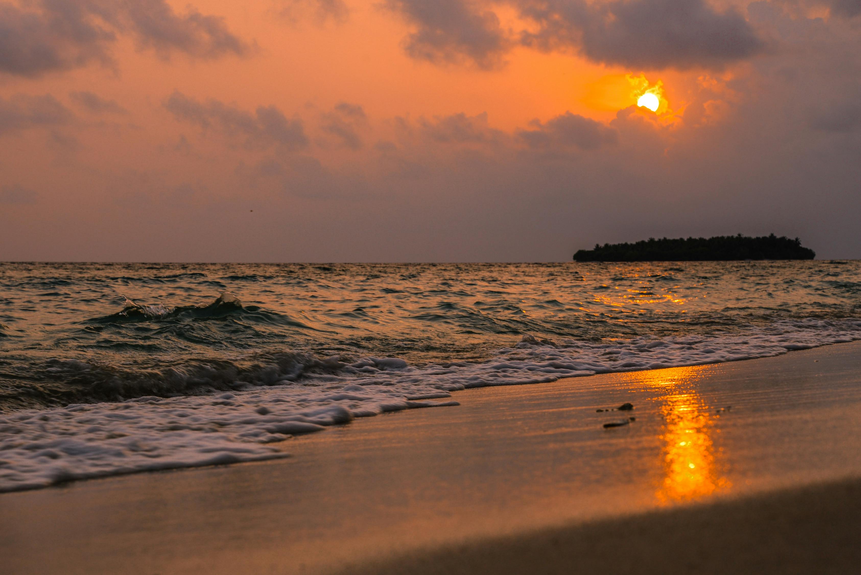 Photo of Seashore During Golden Hour · Free Stock Photo Photo of Seashore During Golden Hour · Free Stock Photo