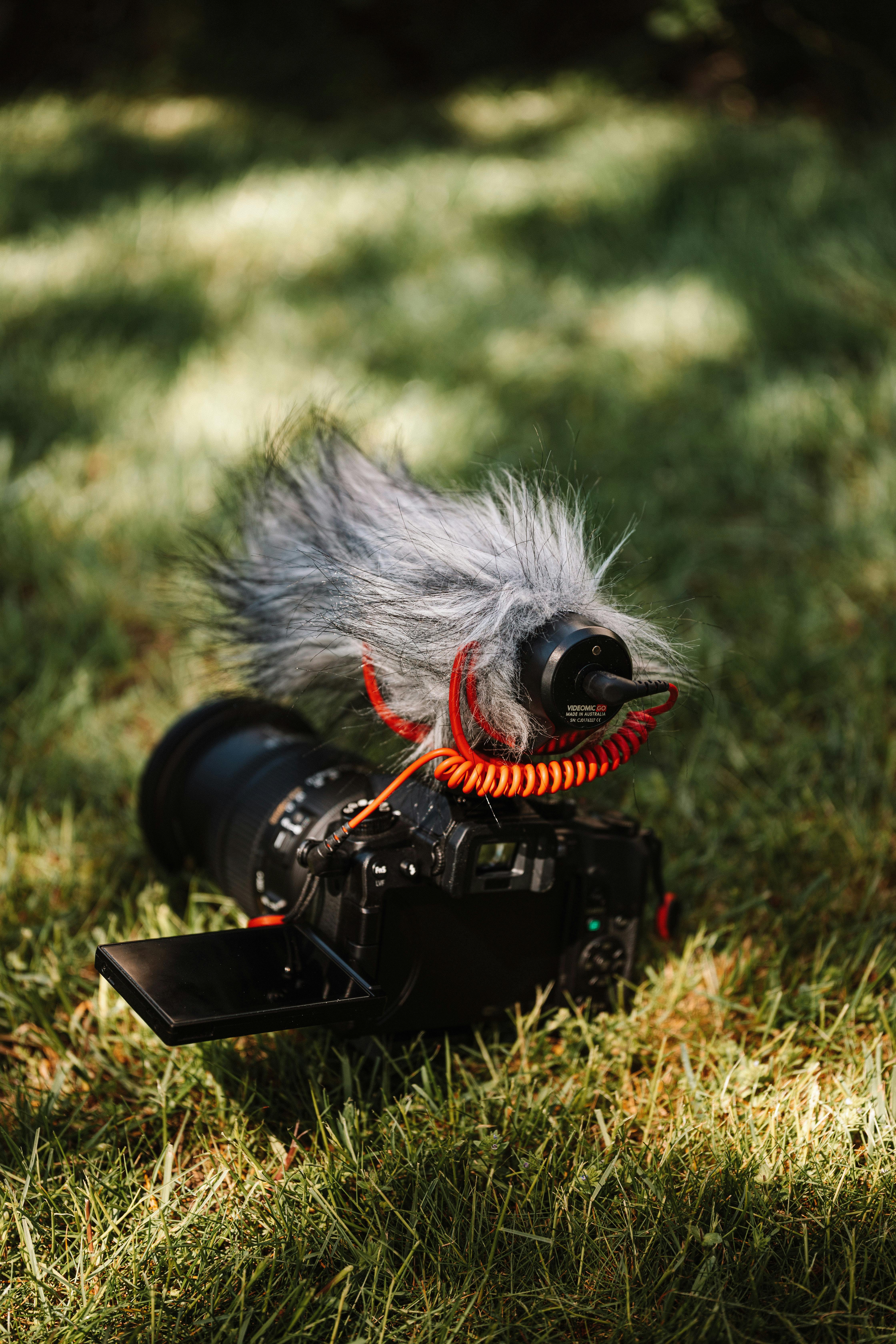 Blimps Photos, Download The BEST Free Blimps Stock Photos & HD Images