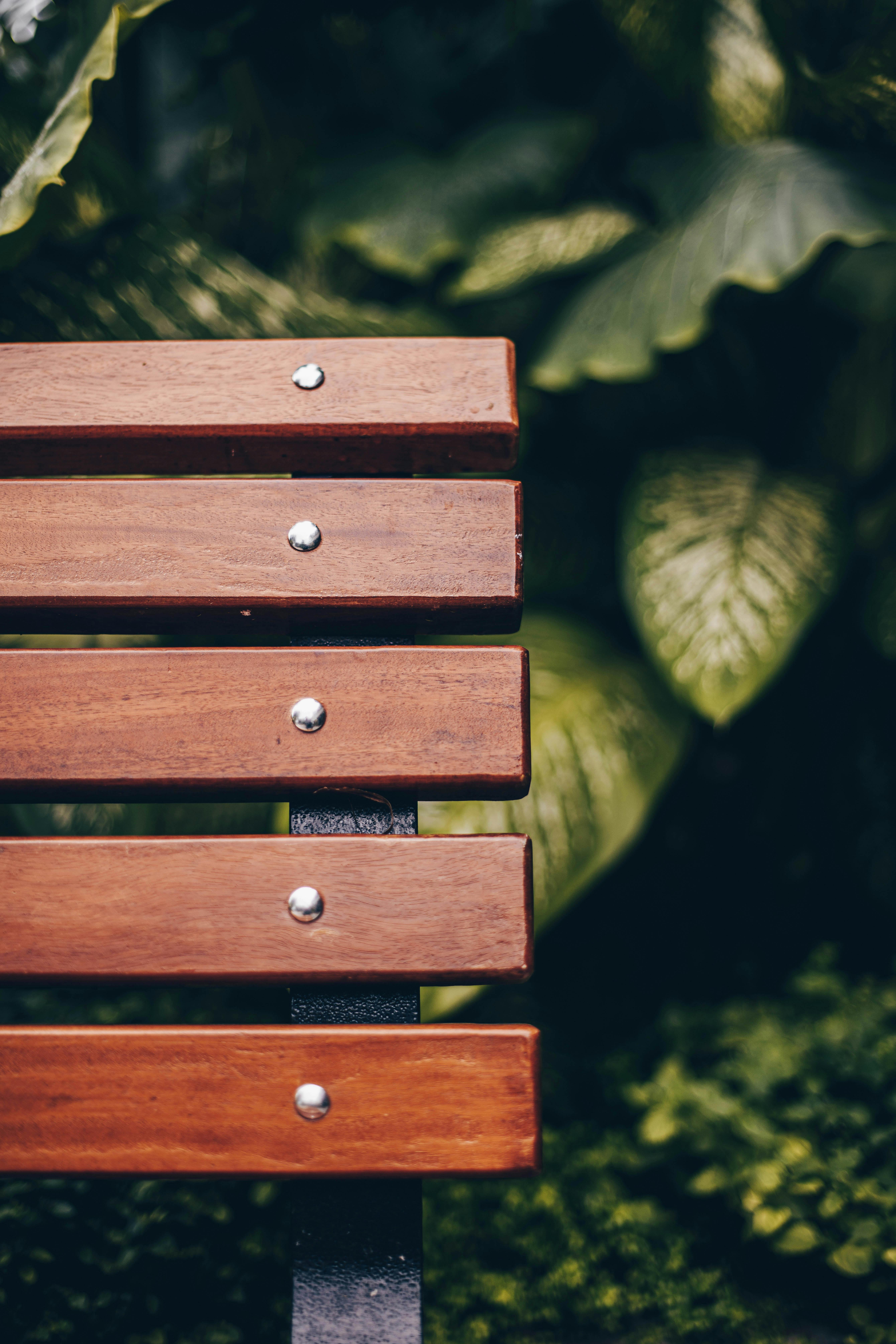 Simple wooden bench in green garden · Free Stock Photo