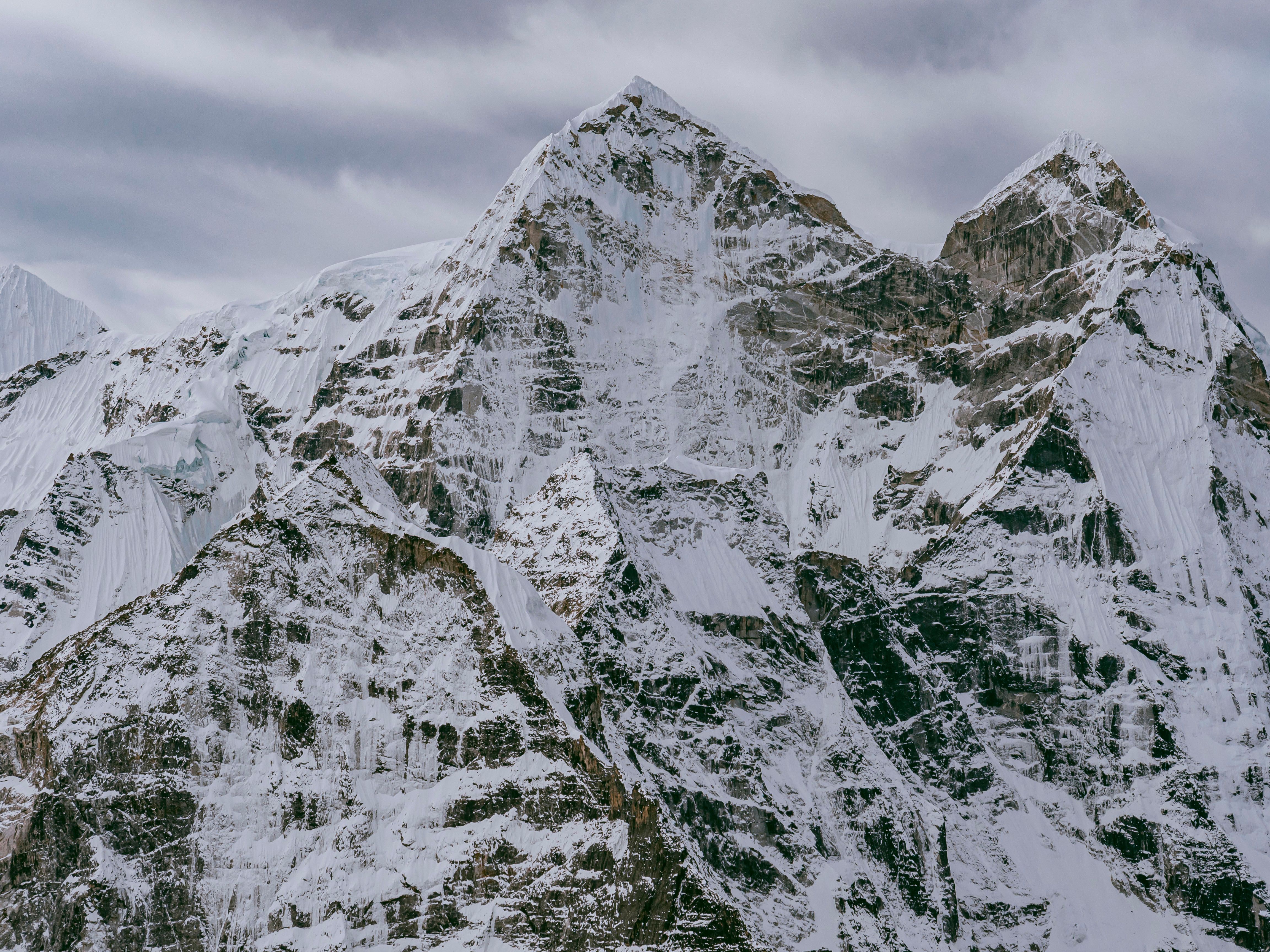 Dudh Photos, Download The BEST Free Dudh Stock Photos & HD Images