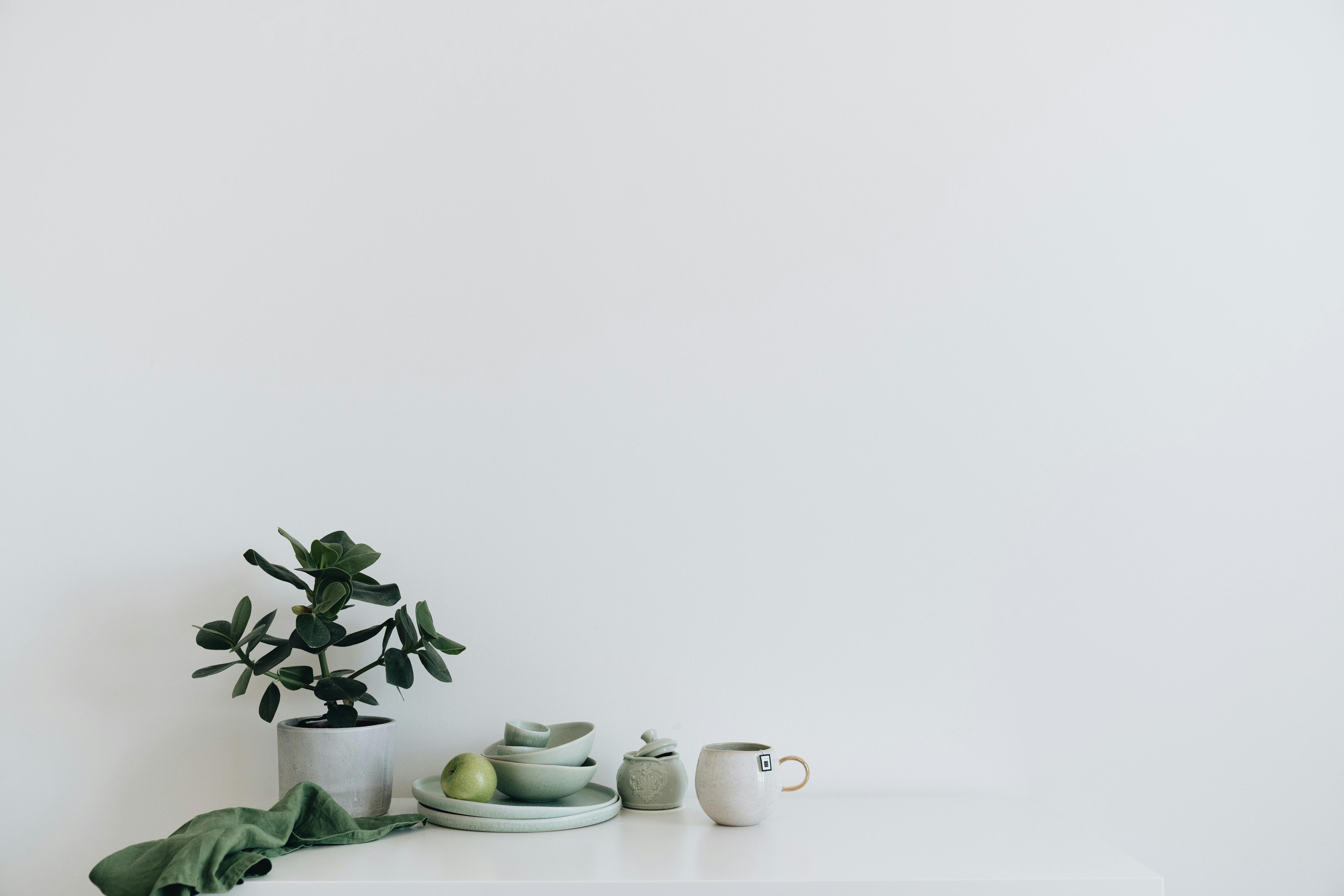 Minimalist Still Life Shot with Decor · Free Stock Photo