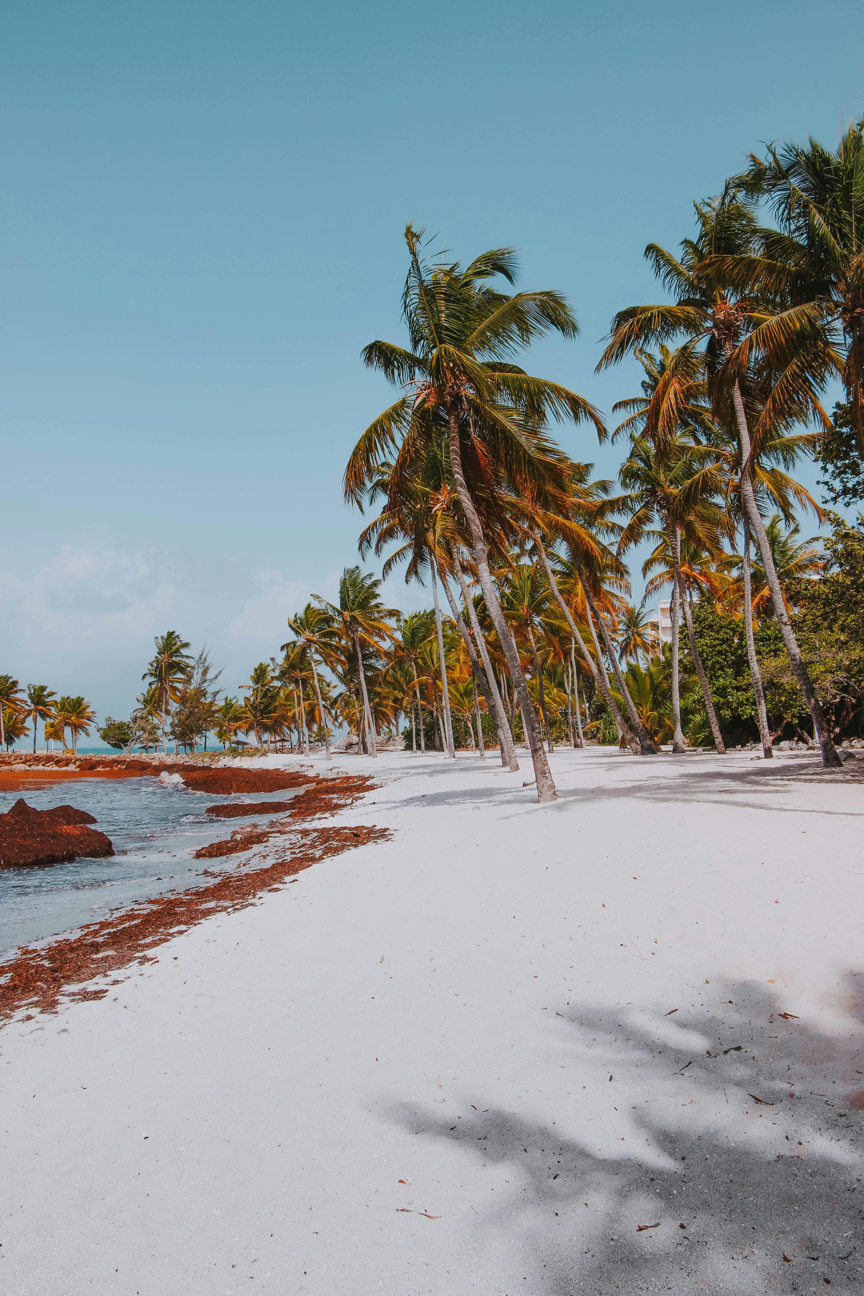 Sea Level Color: Green Photos, Download The BEST Free Sea Level Color ...