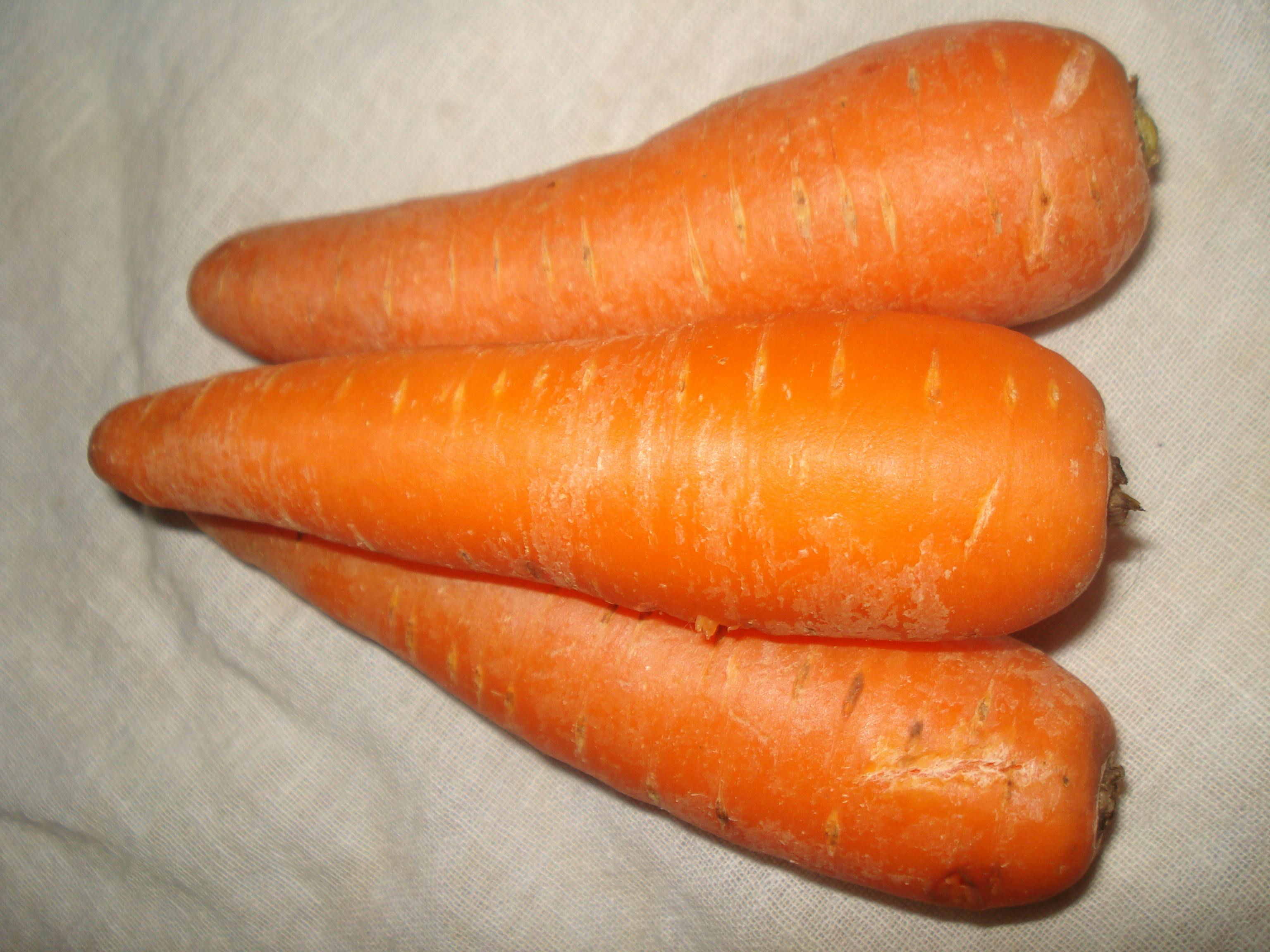 Ganapati Bhat - 사진