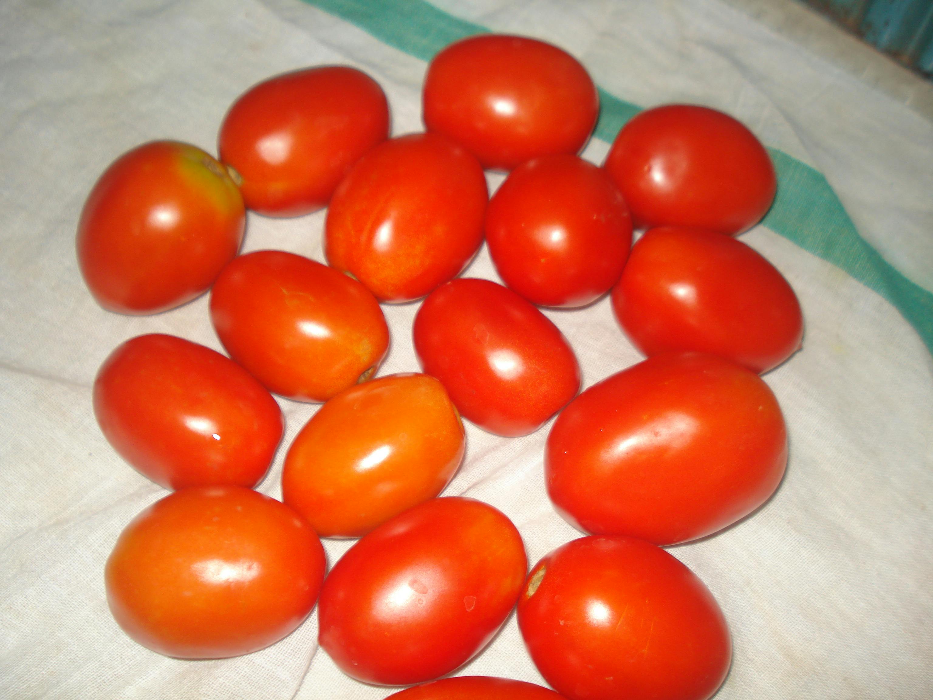 Ganapati Bhat - Photography