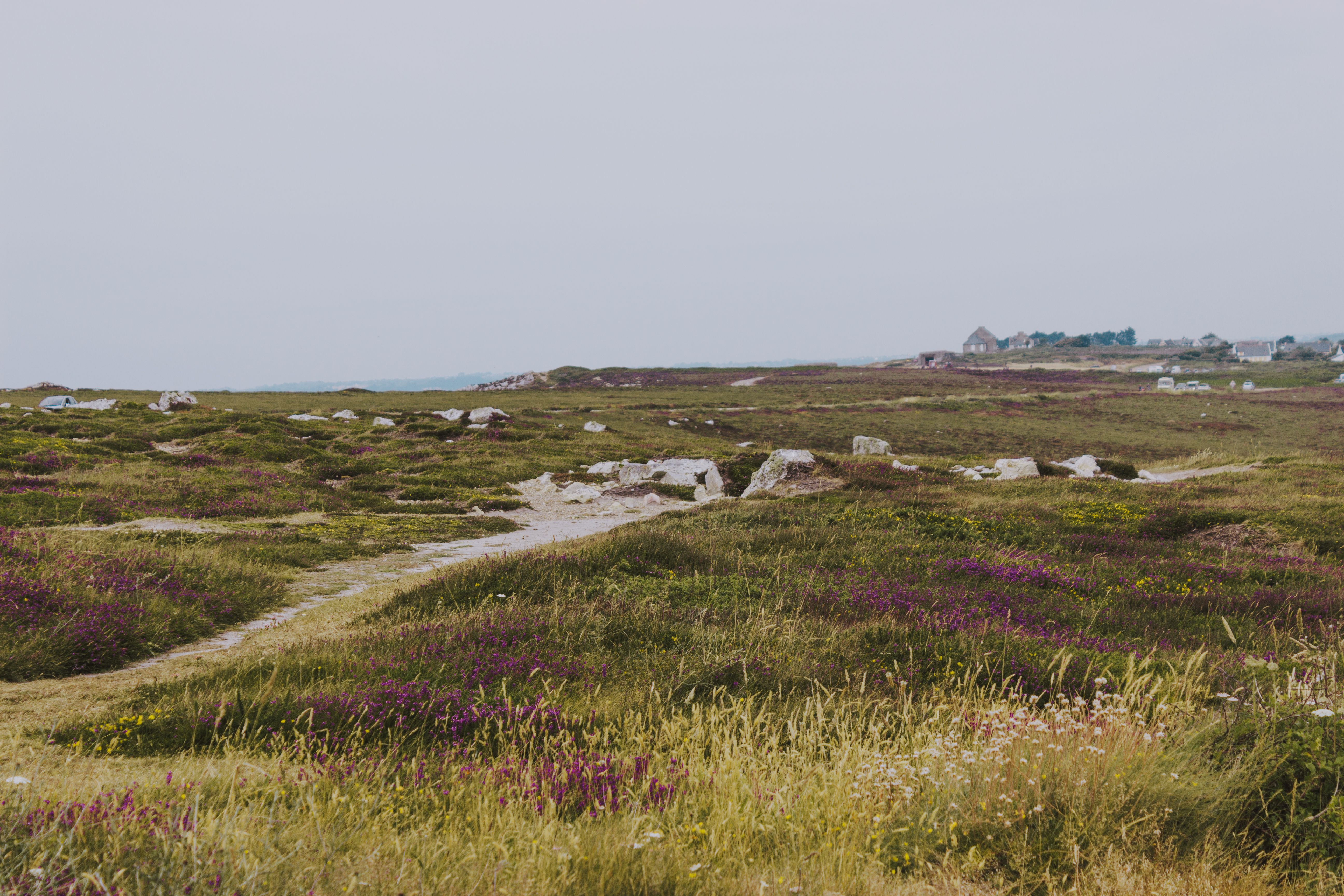 Clear Path Photos, Download The BEST Free Clear Path Stock Photos & HD ...