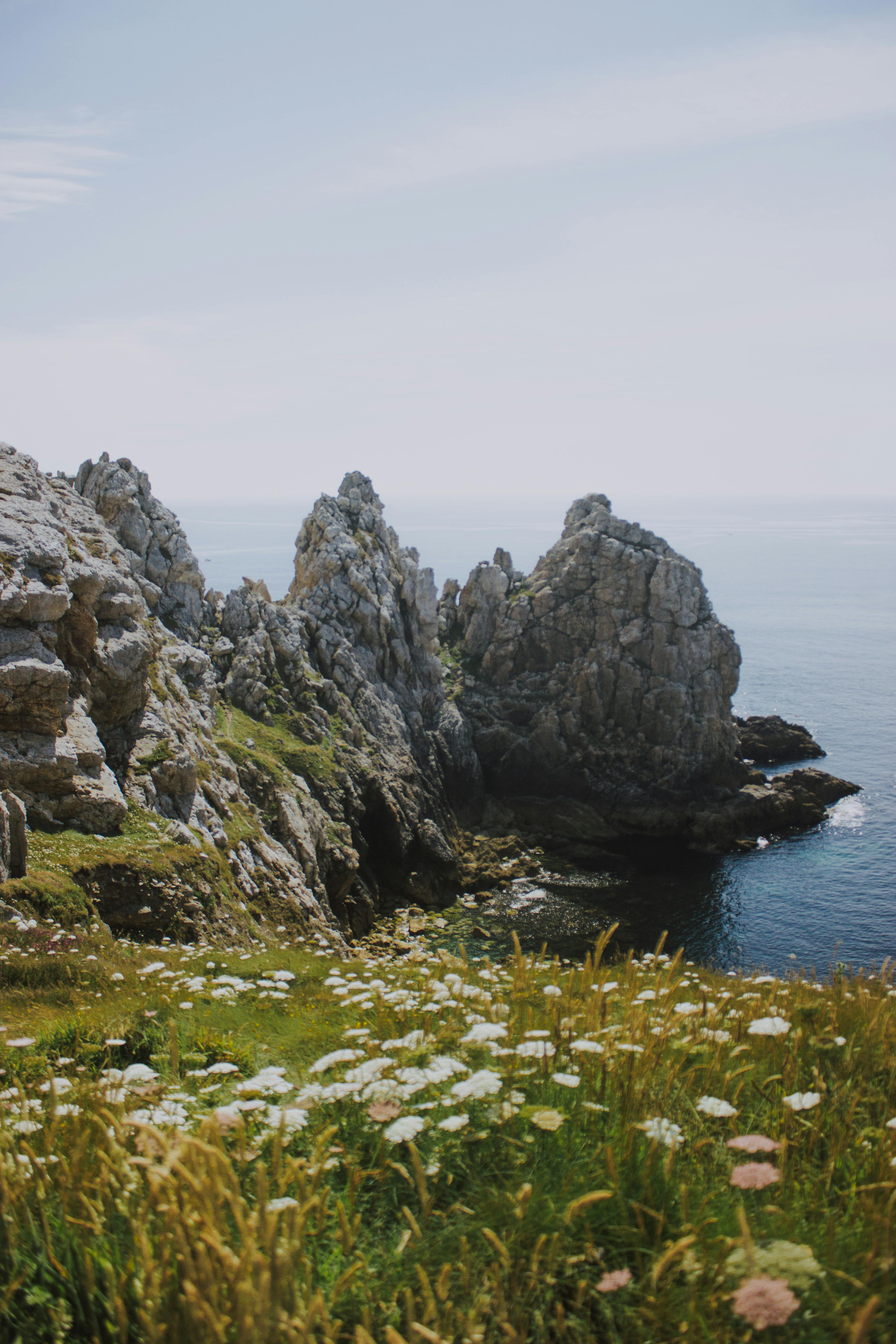 Rocky cliffs surrounded with meadow grass and flowers on seashore ...