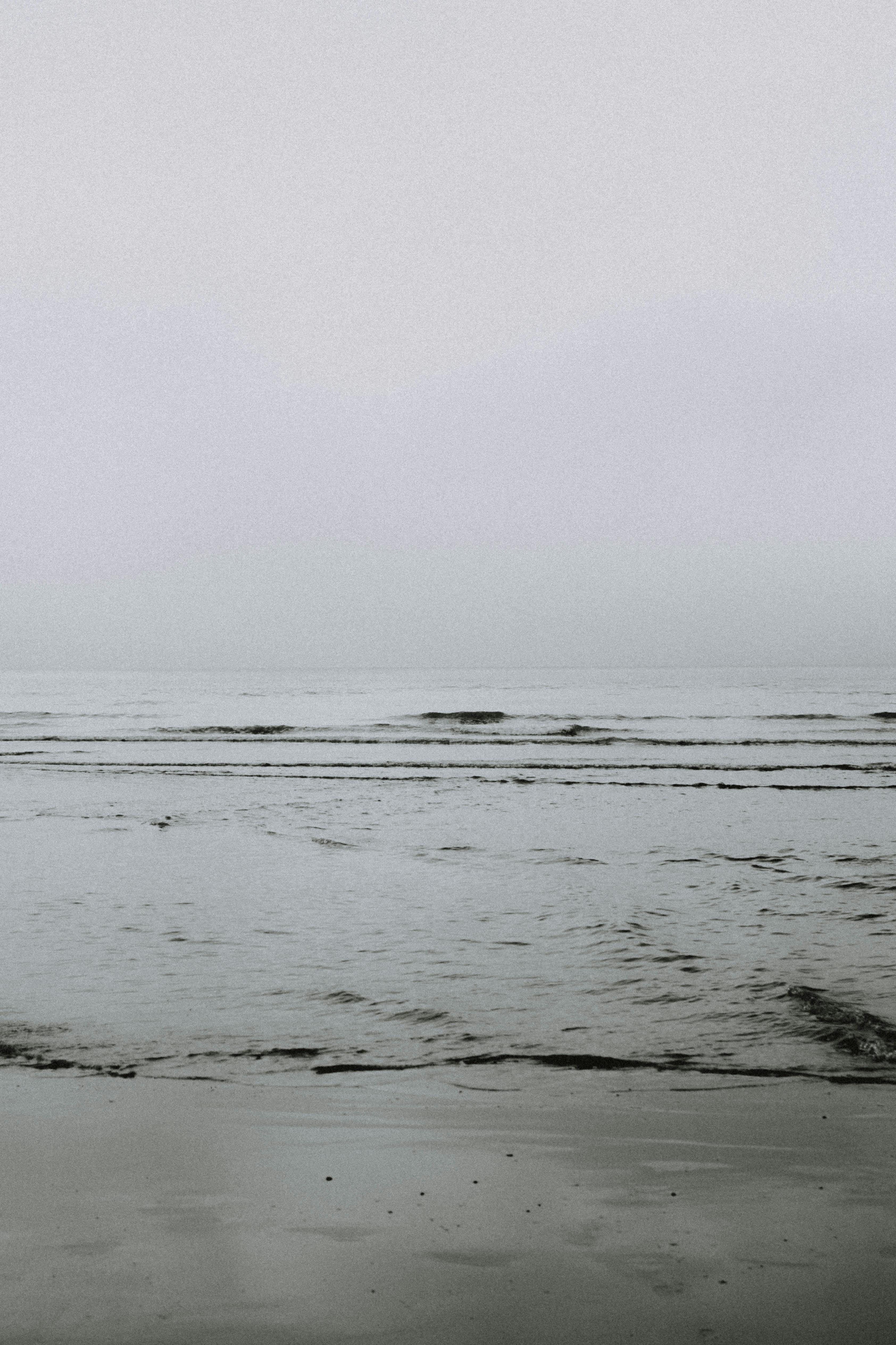 Traces on sand on beach · Free Stock Photo