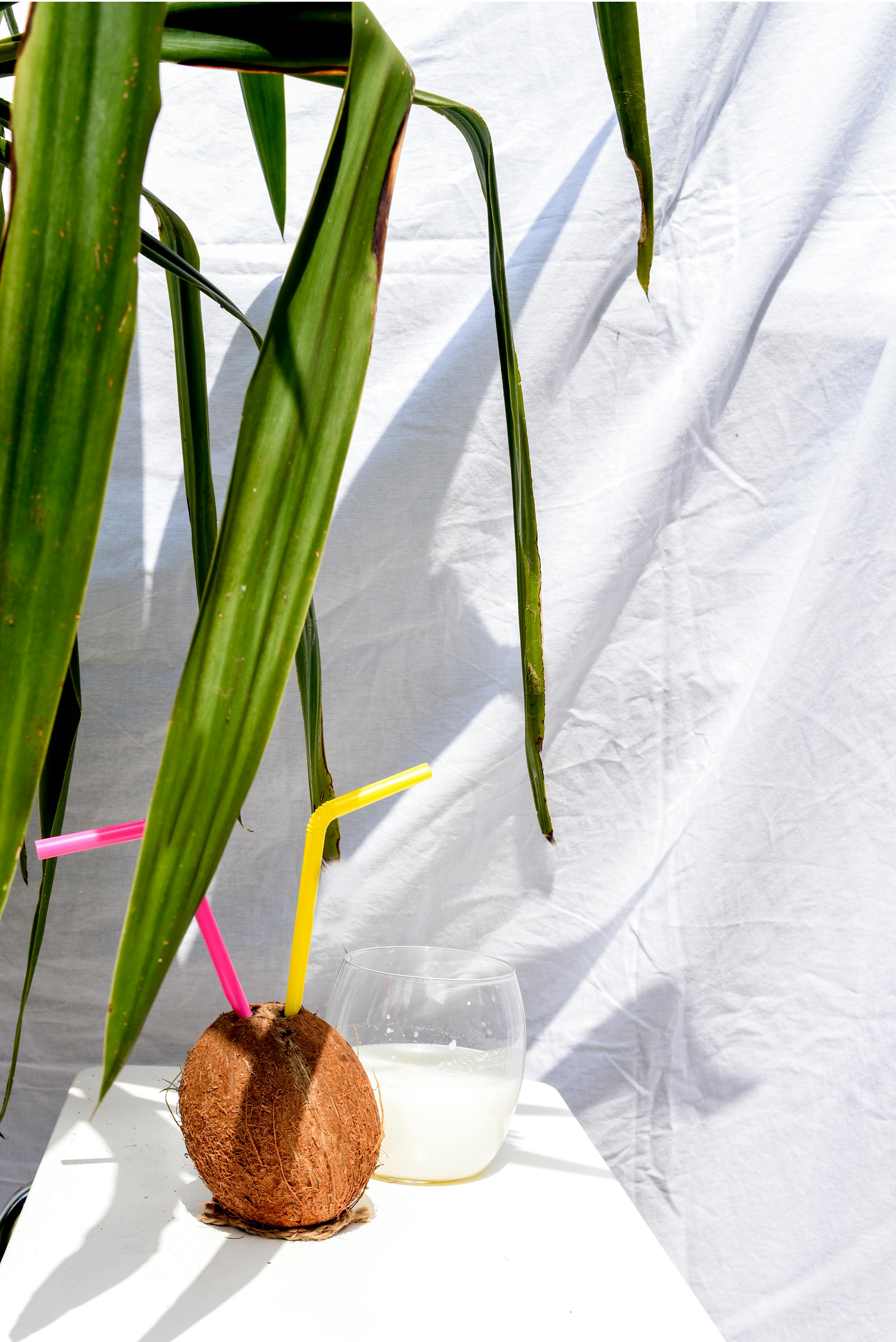 Drinking Straws in Coconut · Free Stock Photo