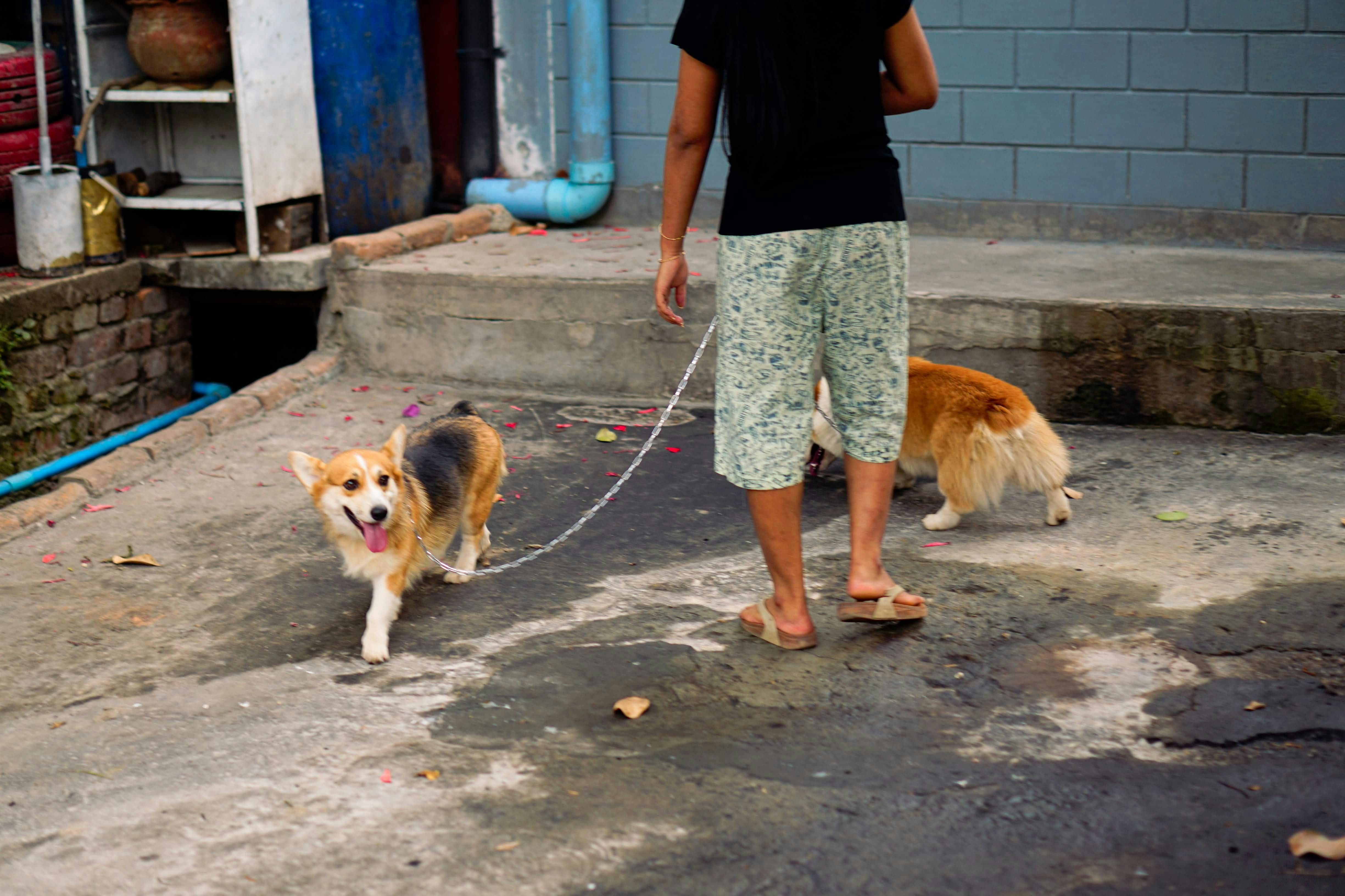 Zaw lin htet - Fotografía