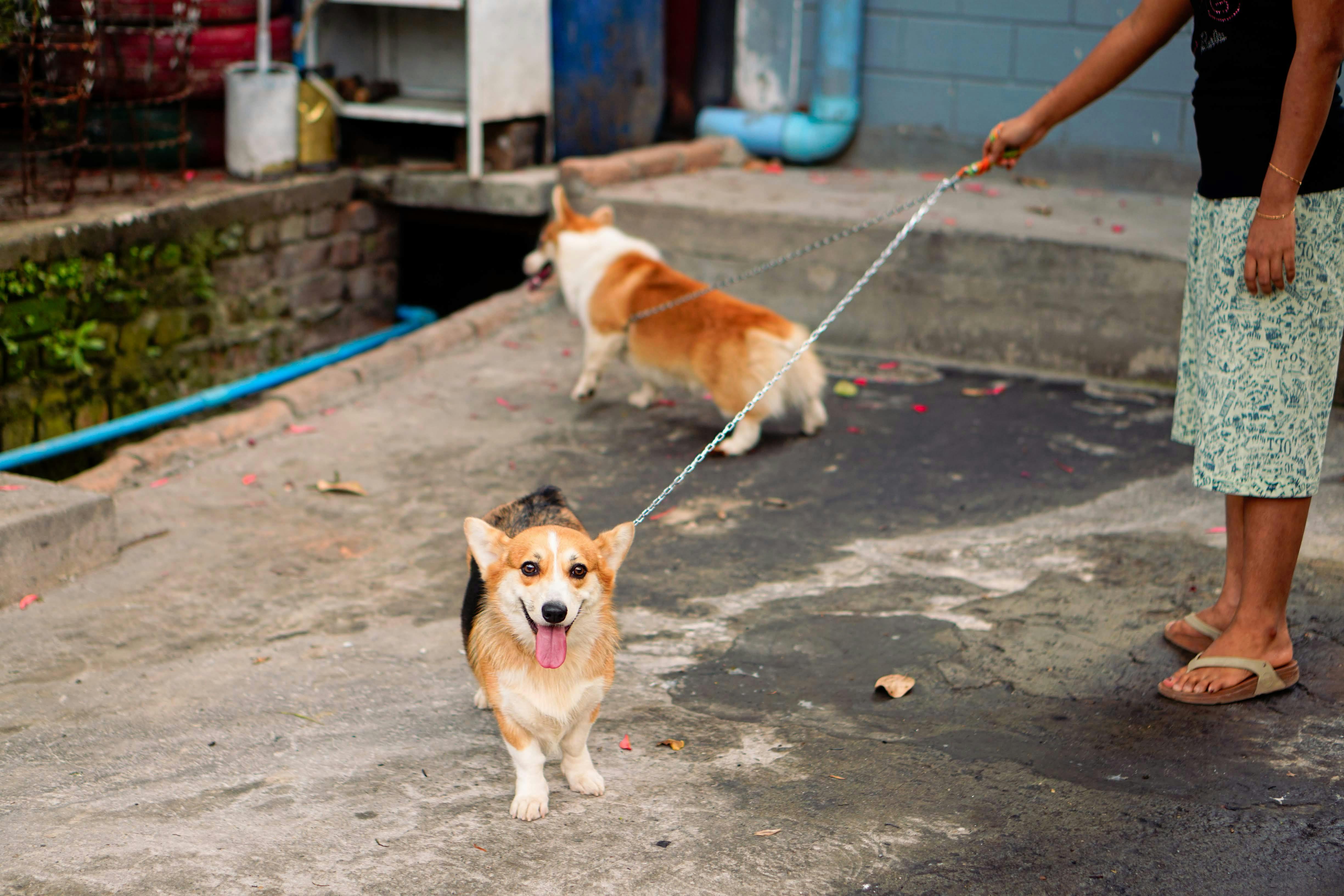 Zaw lin htet - Fotografía