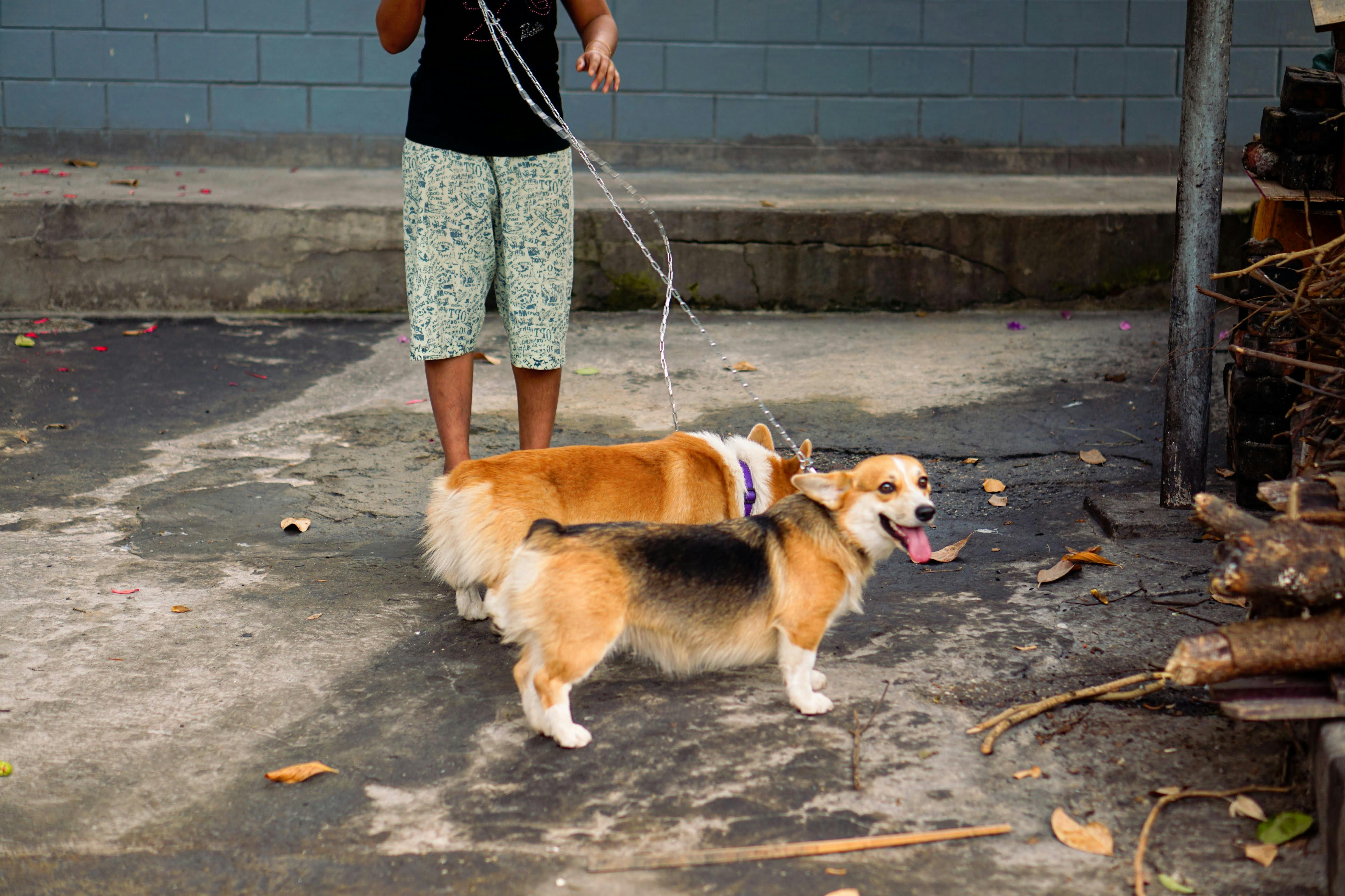 Zaw lin htet - Fotografía