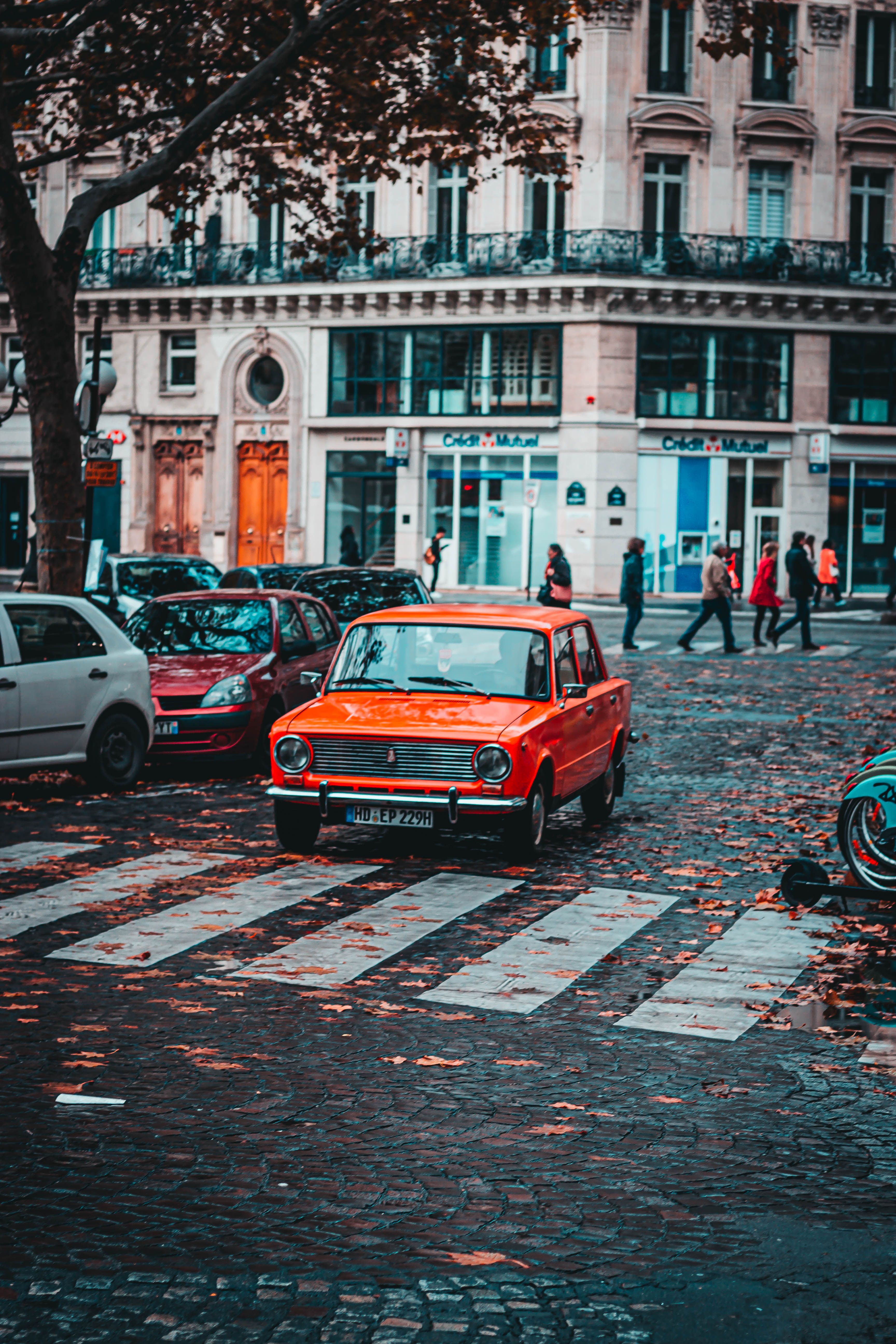 Modern automobile driving on countryside road in autumn · Free Stock Photo
