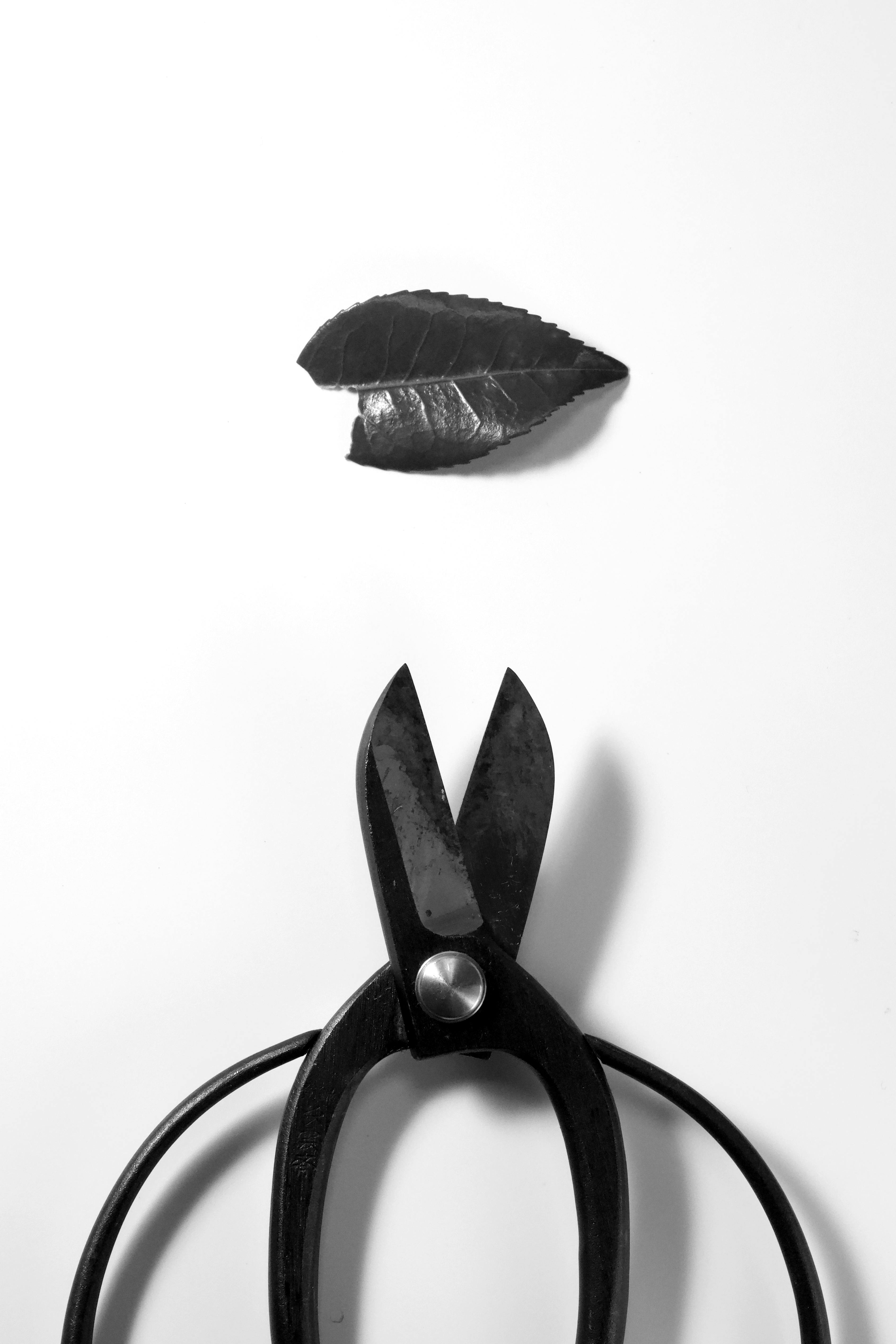 Black scissors placed on beige background · Free Stock Photo